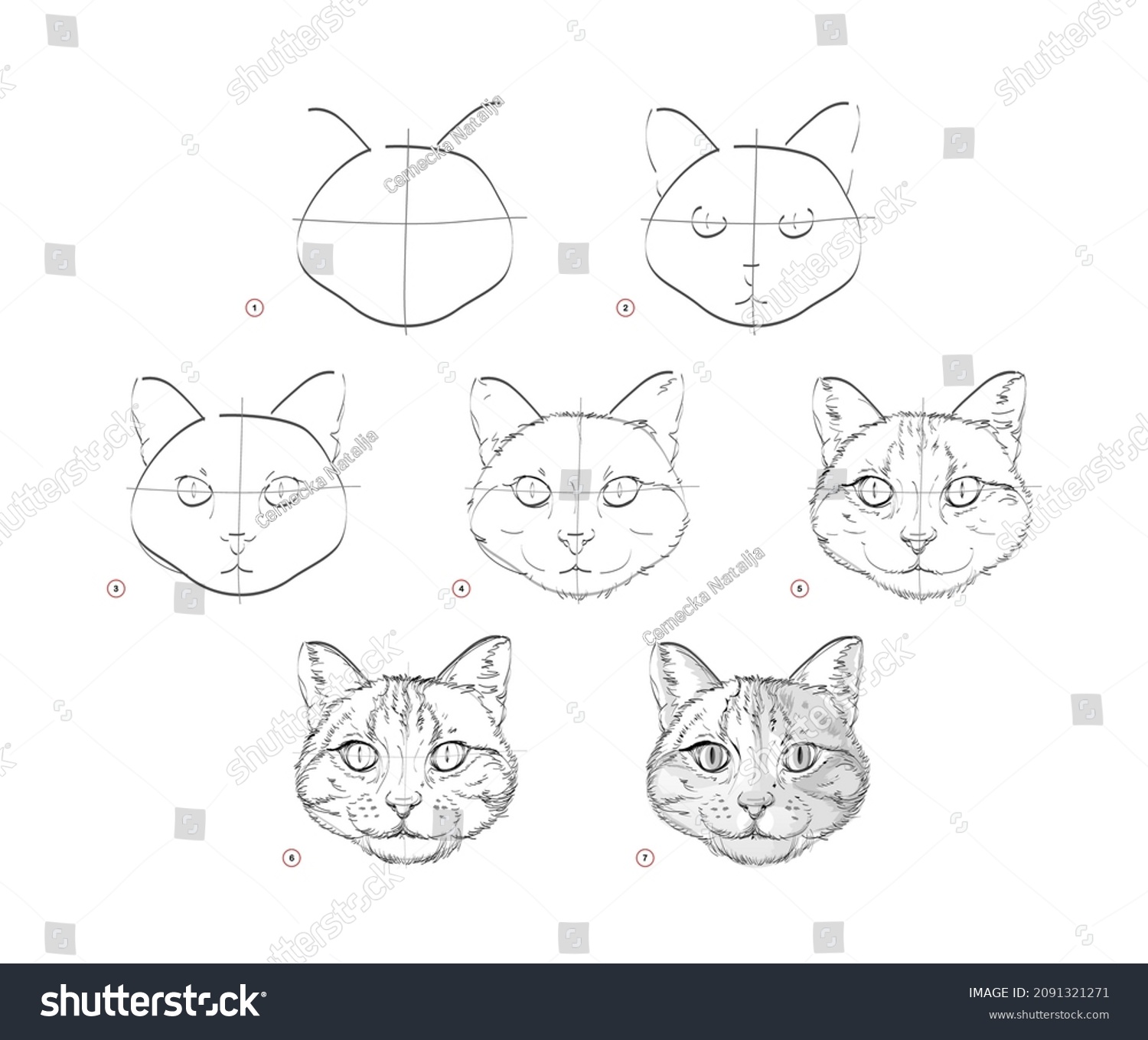 149 Cat drawing step by step Snímků, stock fotografií a vektorů ...