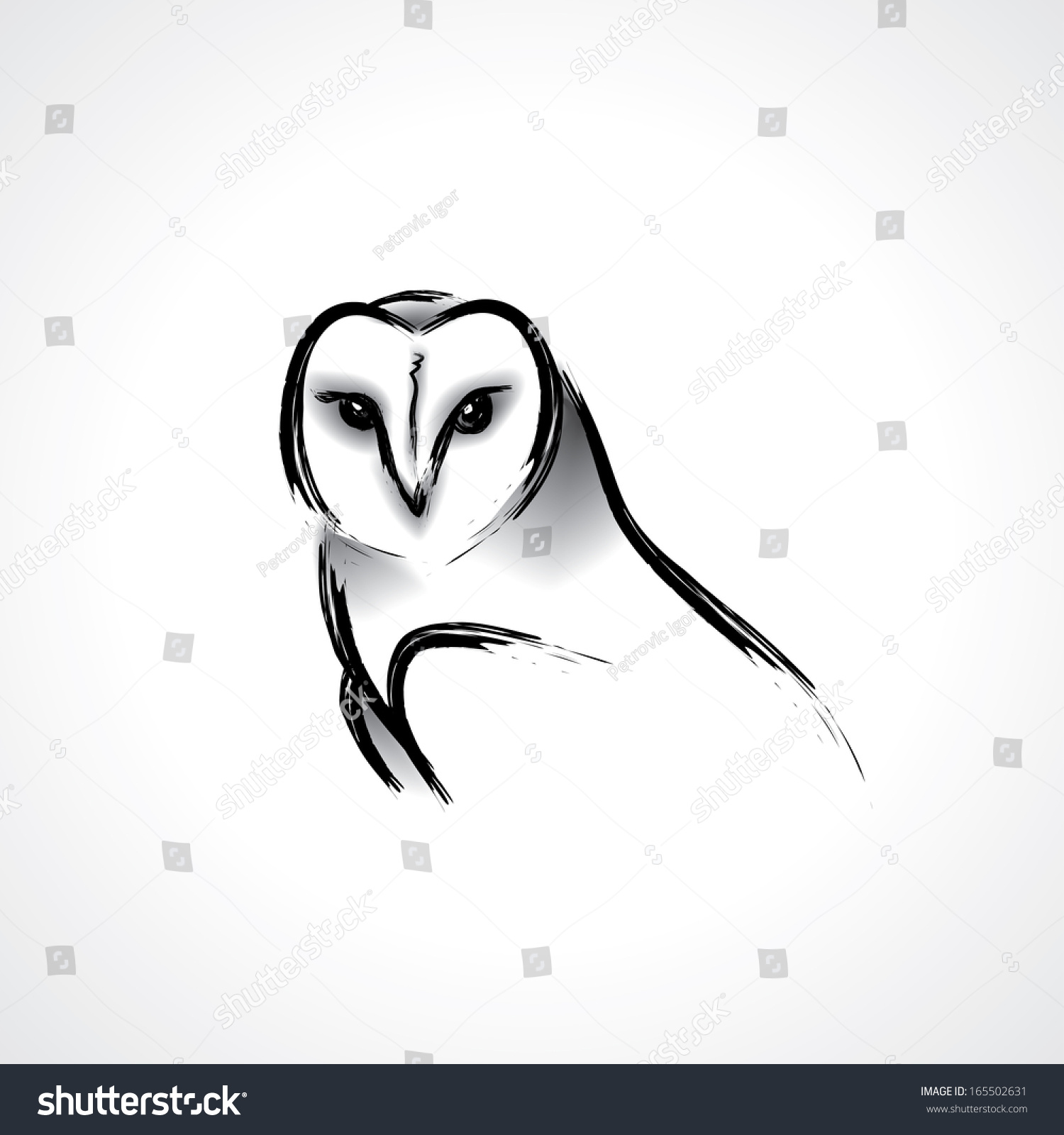 Painted Barn Owl Vector Illustration Stock Vector (Royalty Free) 165502631