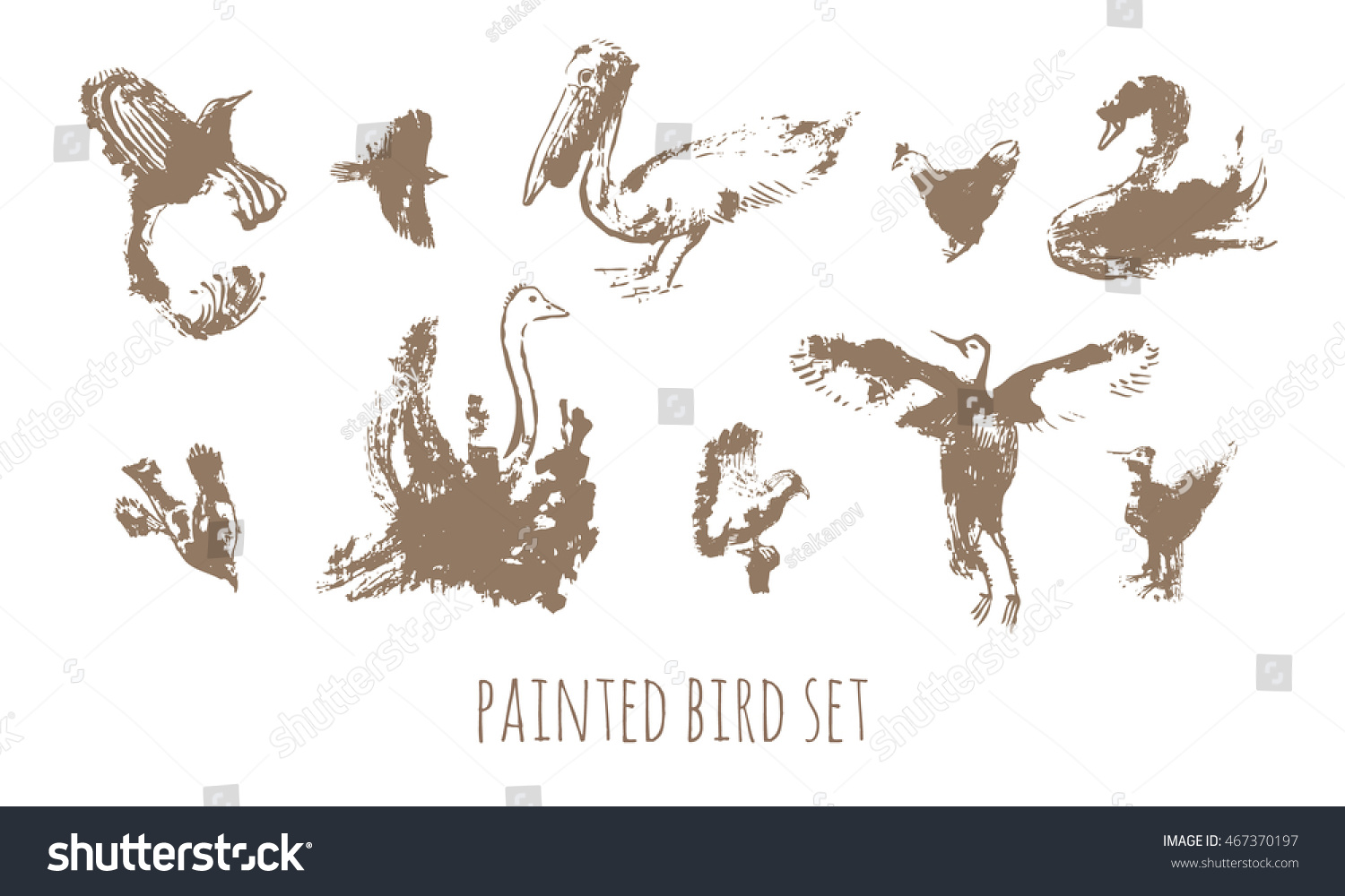 Painted Bird Vector Set Illustration Stock Vector (Royalty Free ...