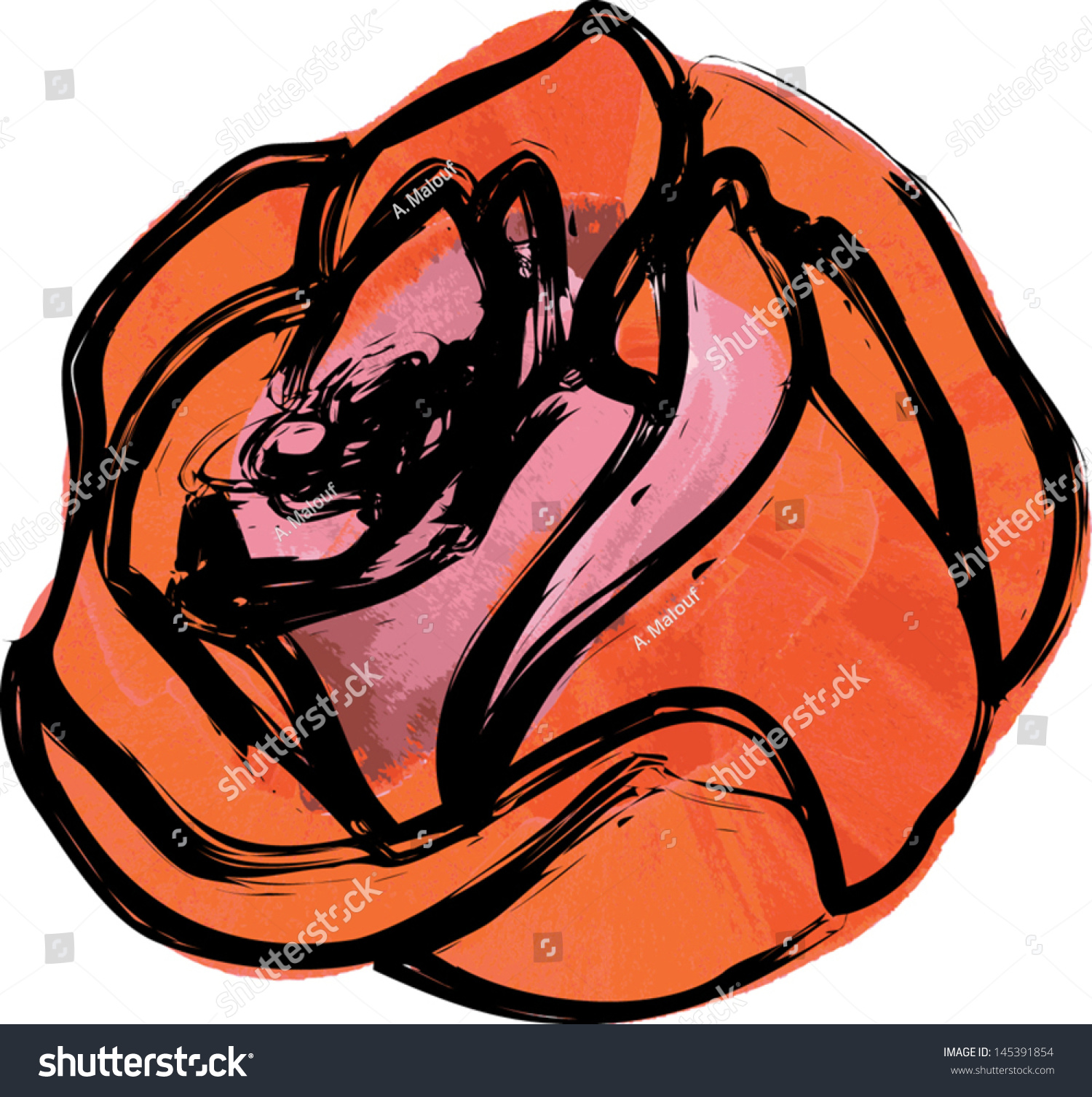Painted Rose Vector Illustration: vector de stock (libre de regalías ...