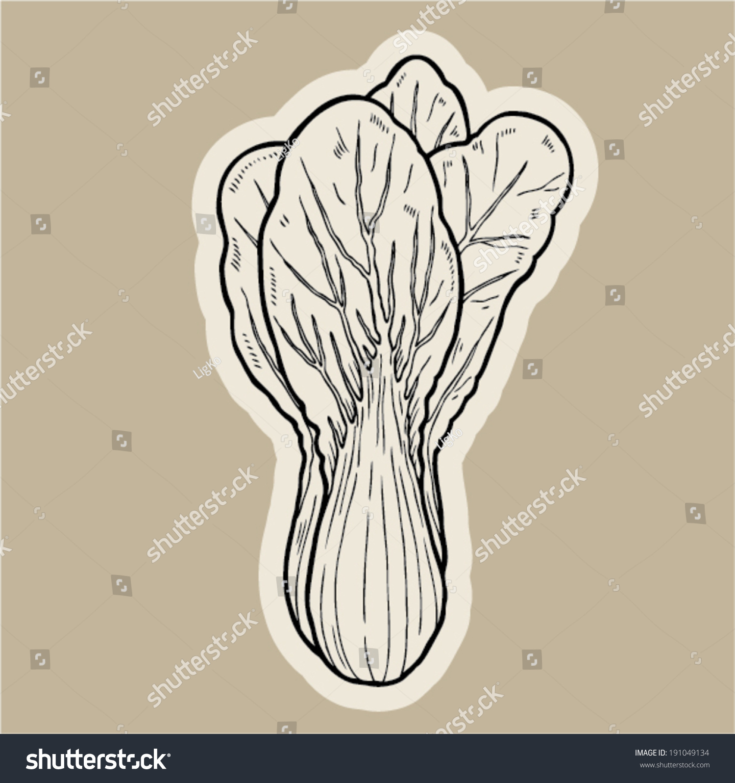 Pak Choi Cartoon Vector: เวกเตอร์สต็อก (ปลอดค่าลิขสิทธิ์) 191049134