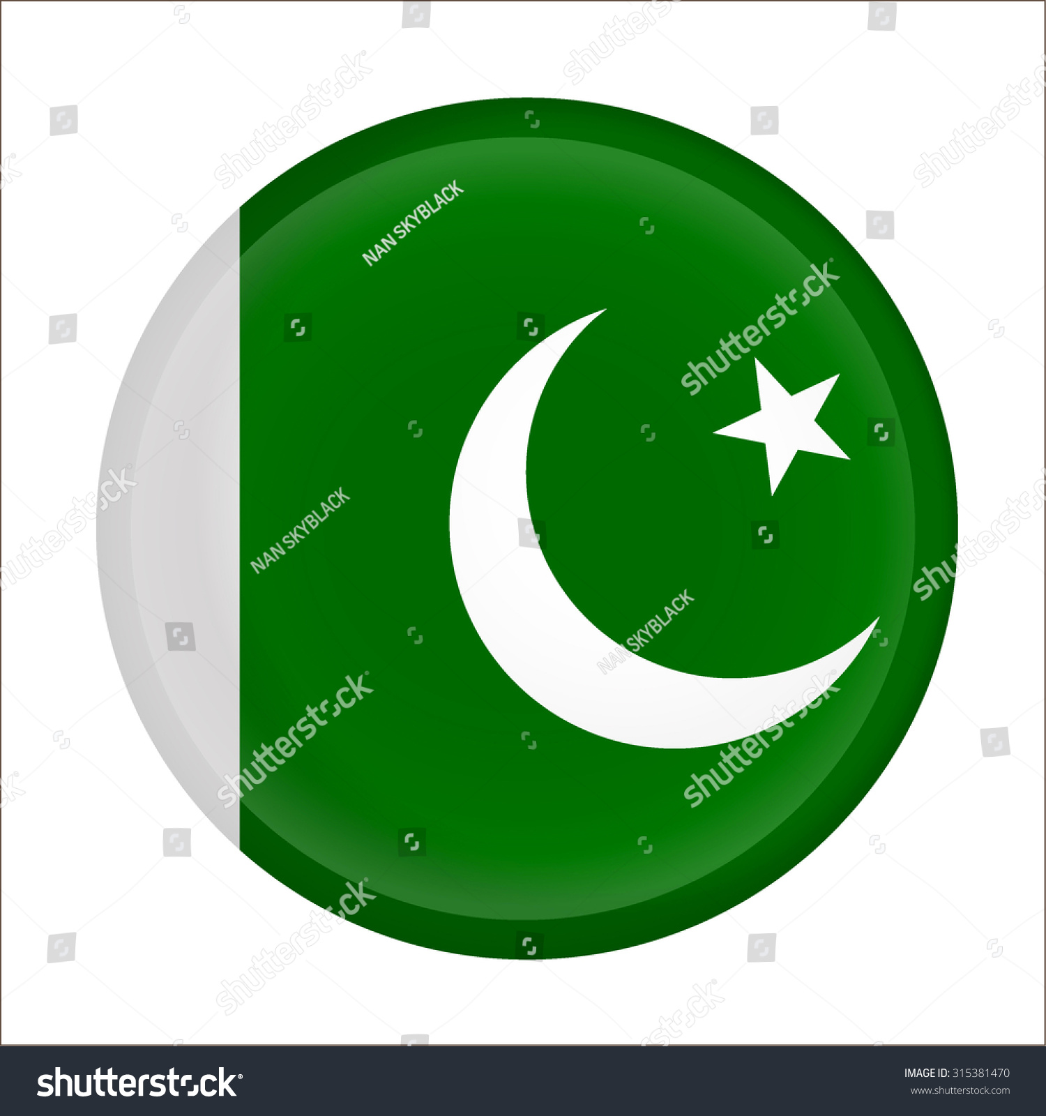 Pakistan Flag Button On White Stock Vector (Royalty Free) 315381470