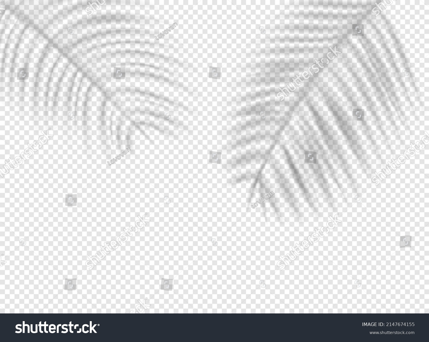 Palm Leaves Shadows On Transparent Background Stock Vector (Royalty ...
