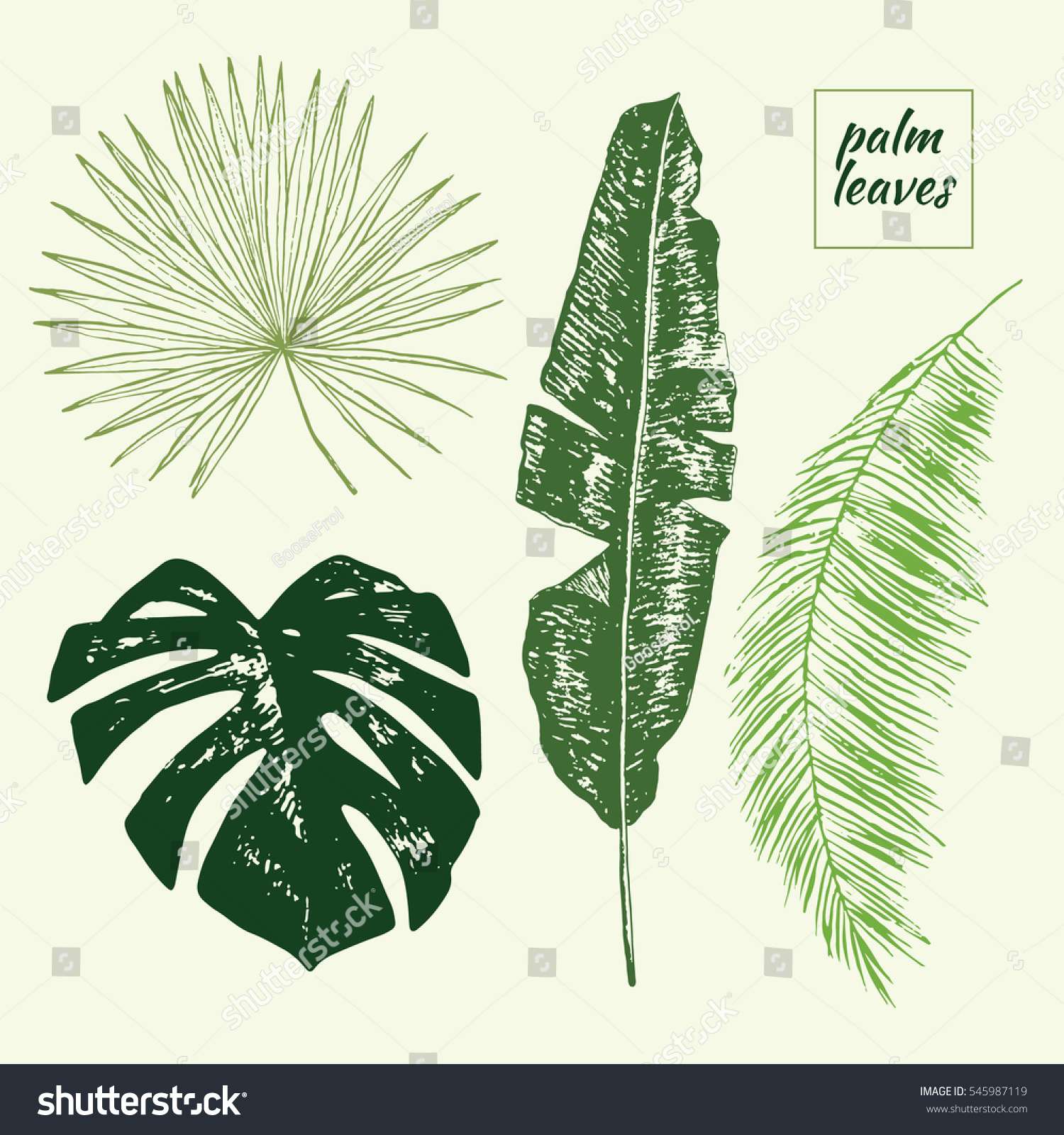 Palm Tree Leaves Set Stock Vector (Royalty Free) 545987119