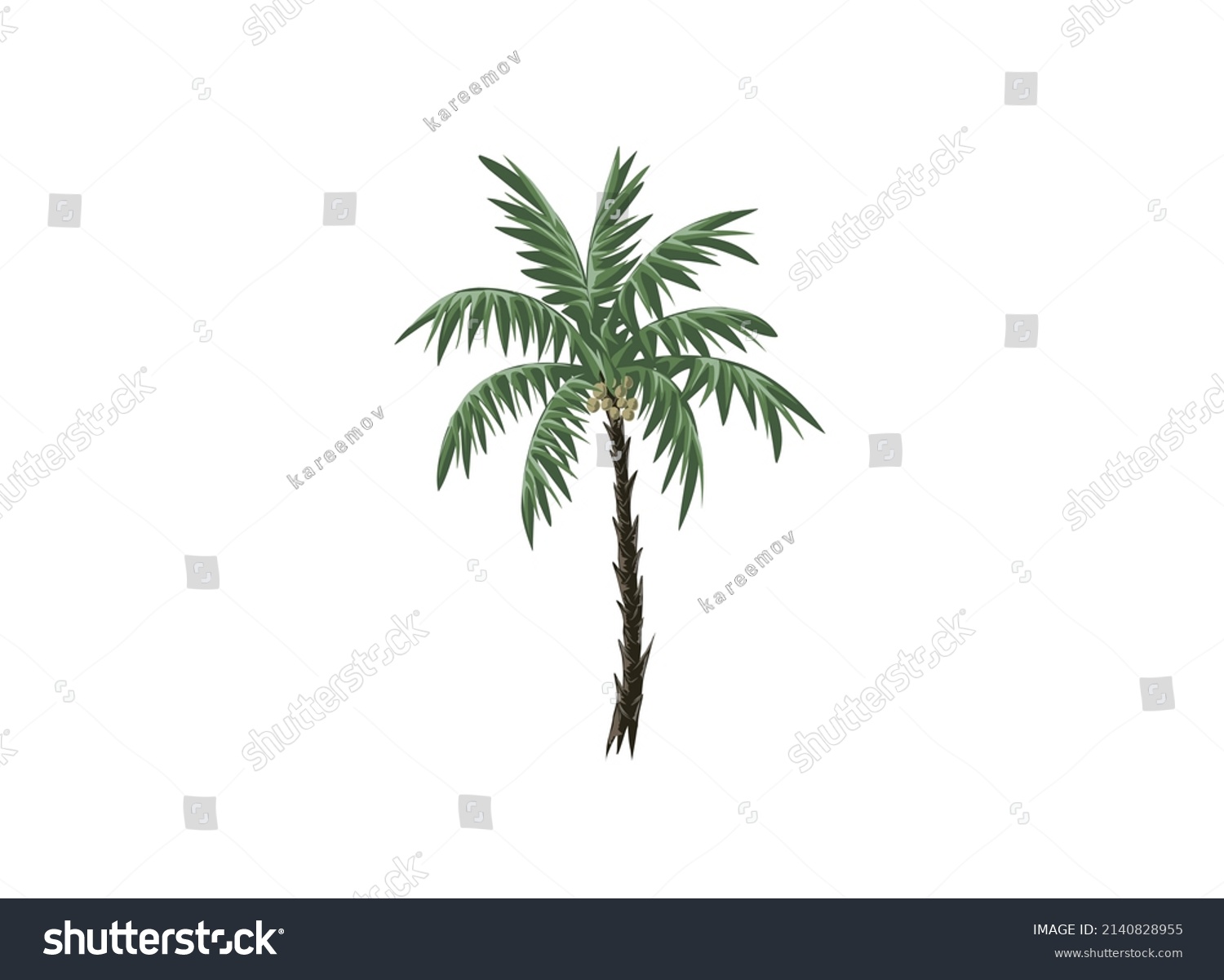 dibujo manual vectorial de la palmera.: vector de stock (libre de ...