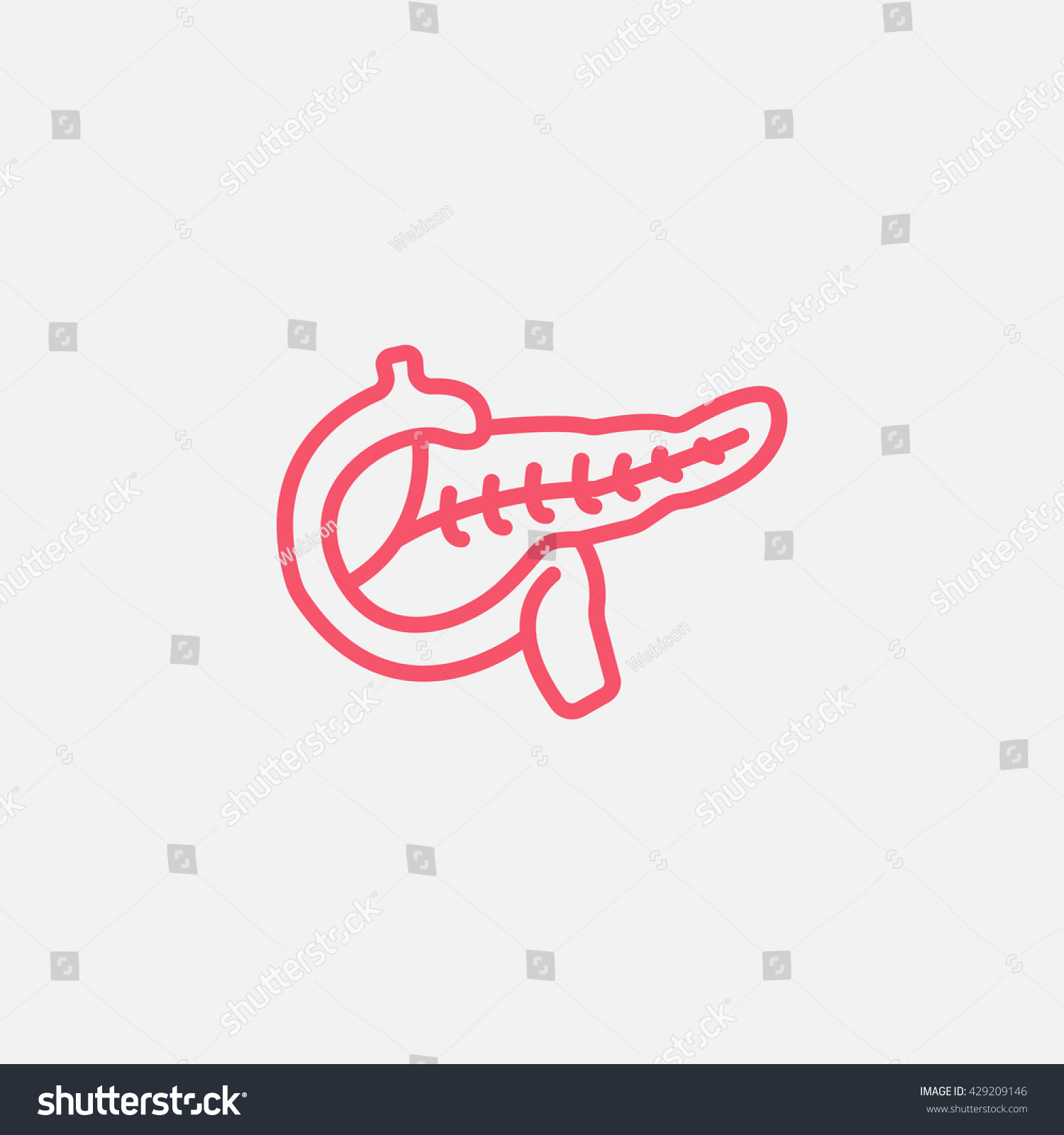 Pancreas Icon: เวกเตอร์สต็อก (ปลอดค่าลิขสิทธิ์) 429209146 | Shutterstock