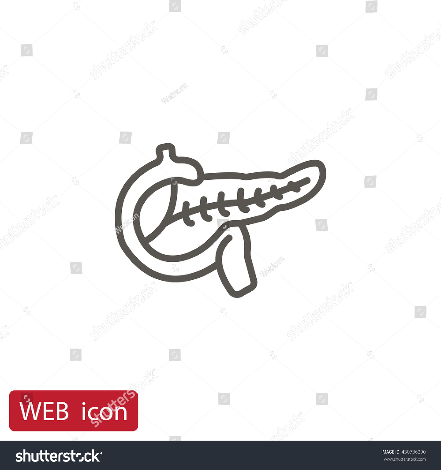 Pancreas Icon Stock Vector (Royalty Free) 430736290 | Shutterstock