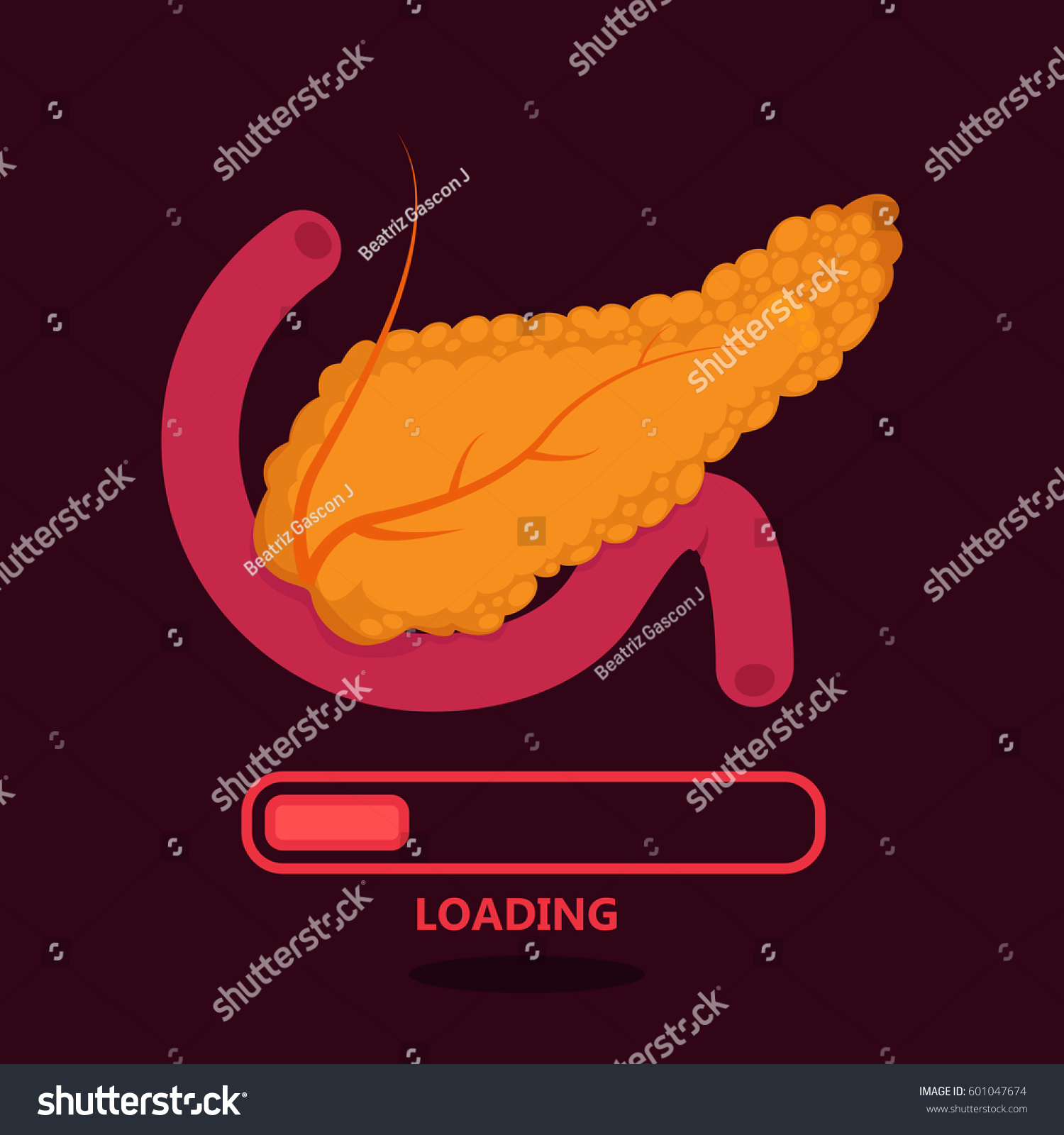 Pancreas Vector Illustration Stock Vector (Royalty Free) 601047674 ...