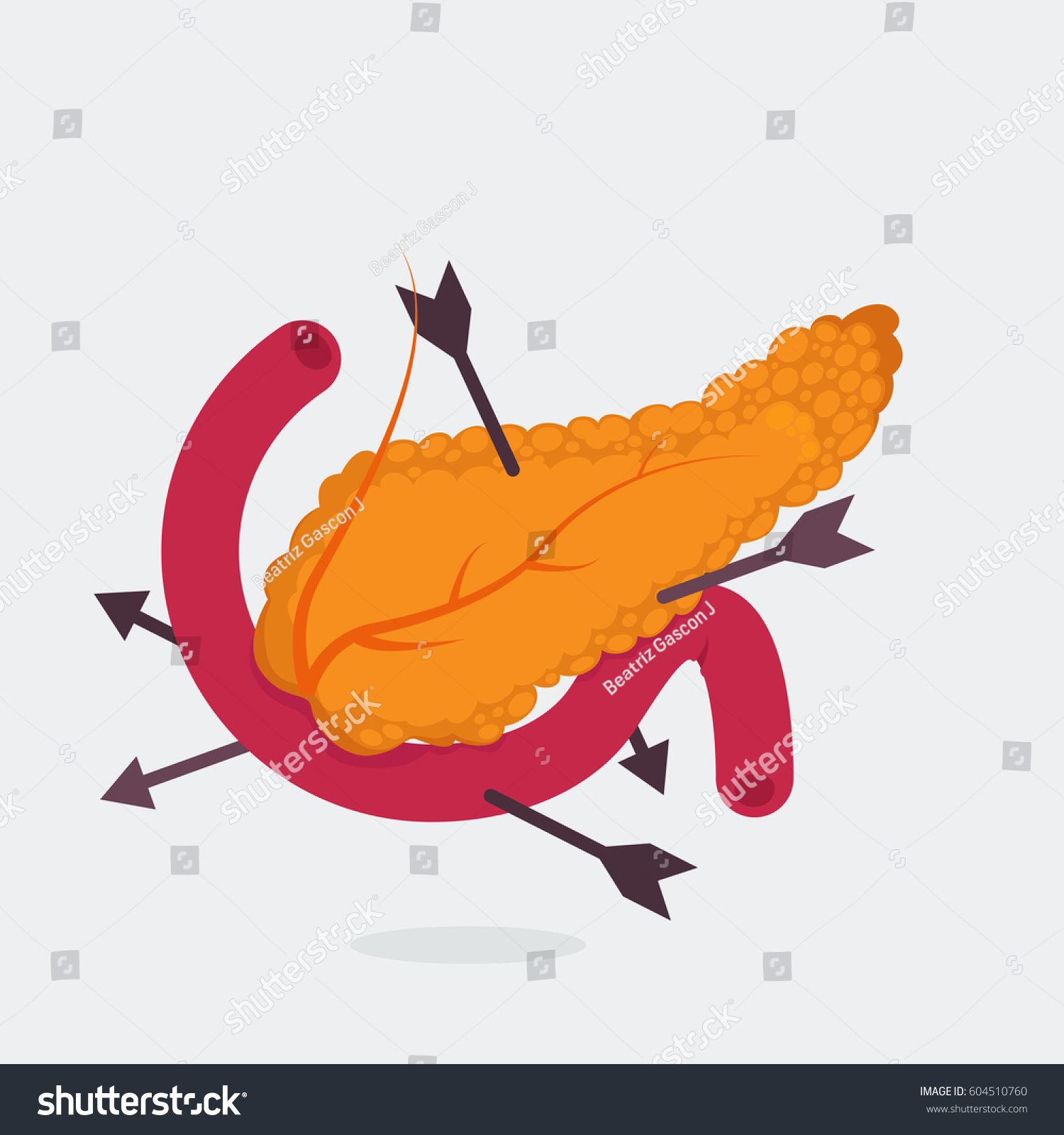 Pancreas Vector Illustration Stock Vector (Royalty Free) 604510760