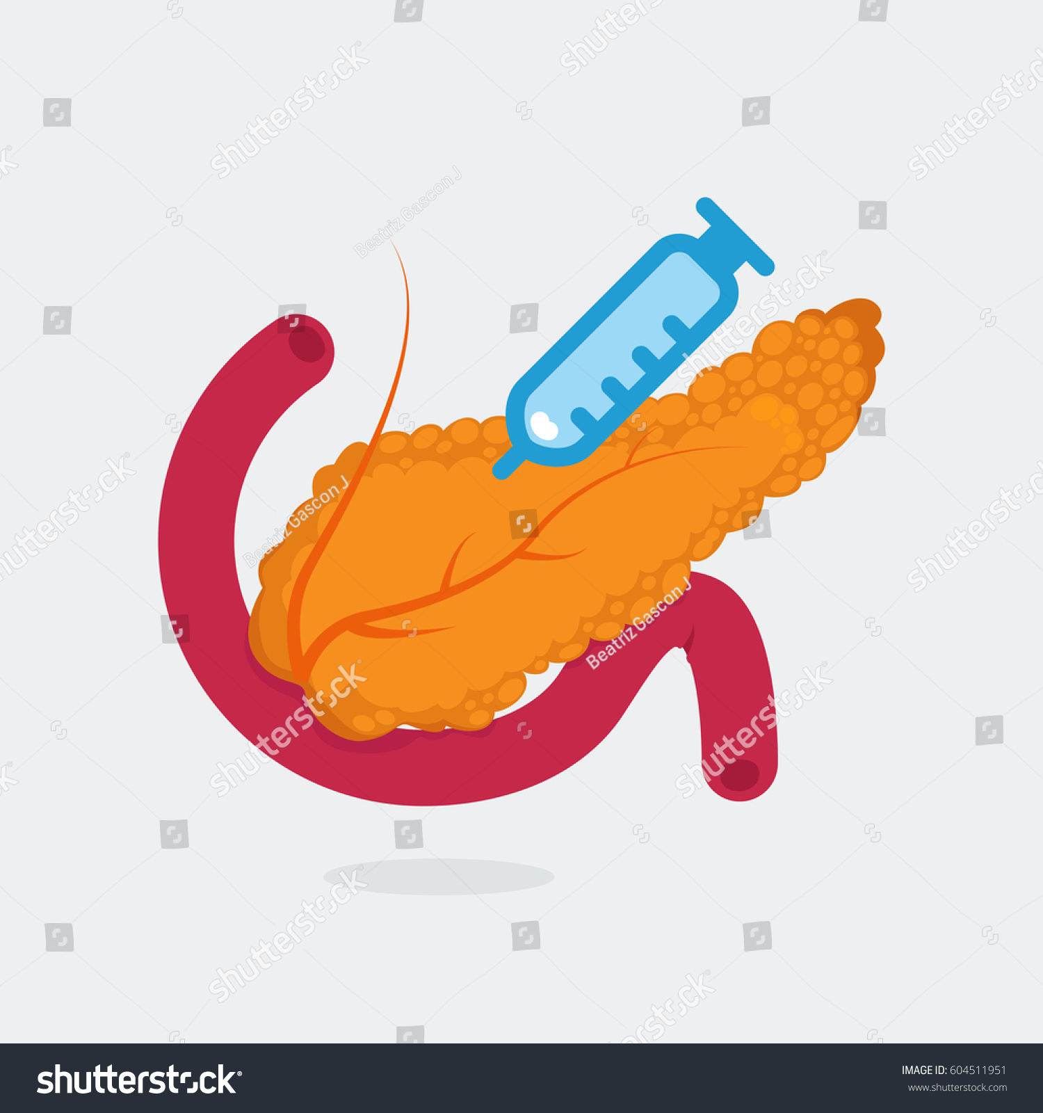 Vektor Stok Pancreas Vector Illustration (Tanpa Royalti) 604511951 ...
