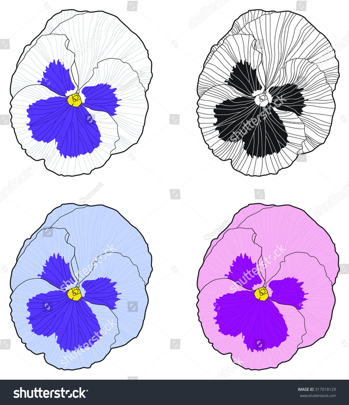 Pansy Flower Vector - 317018129 : Shutterstock
