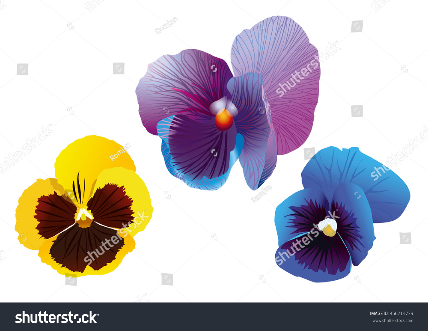 Pansy Flowers Vector Stock Vector (Royalty Free) 456714739