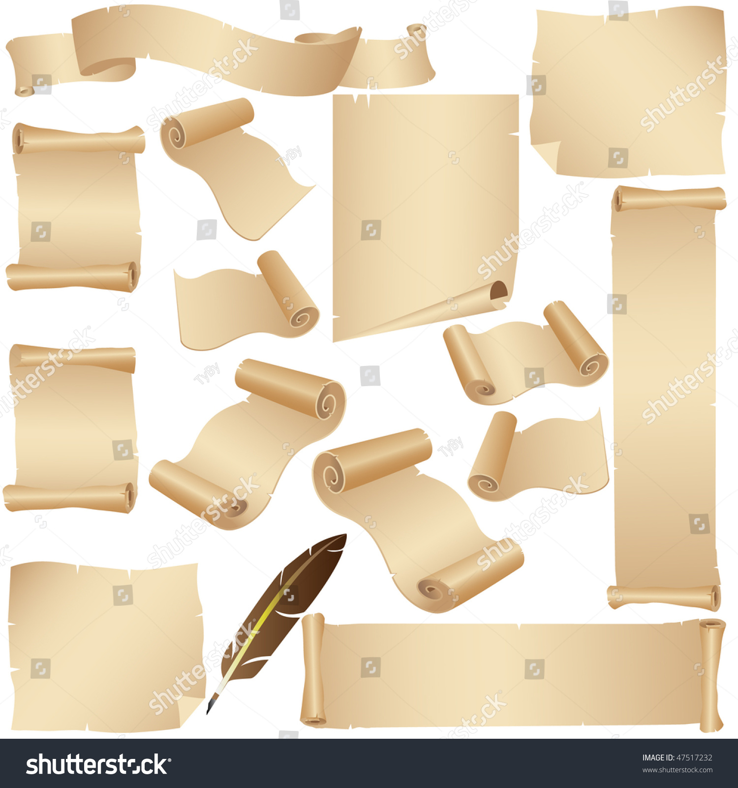 Parchment Vector Set Feather Isolated On Stock Vector (Royalty Free ...