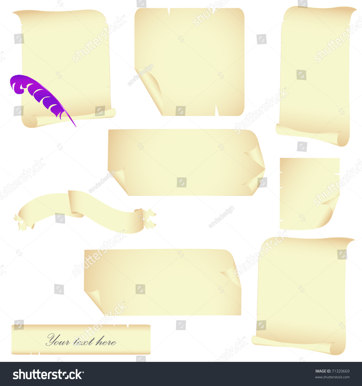 Parchment Vector Set Feather Isolated On Stock Vector (Royalty Free ...