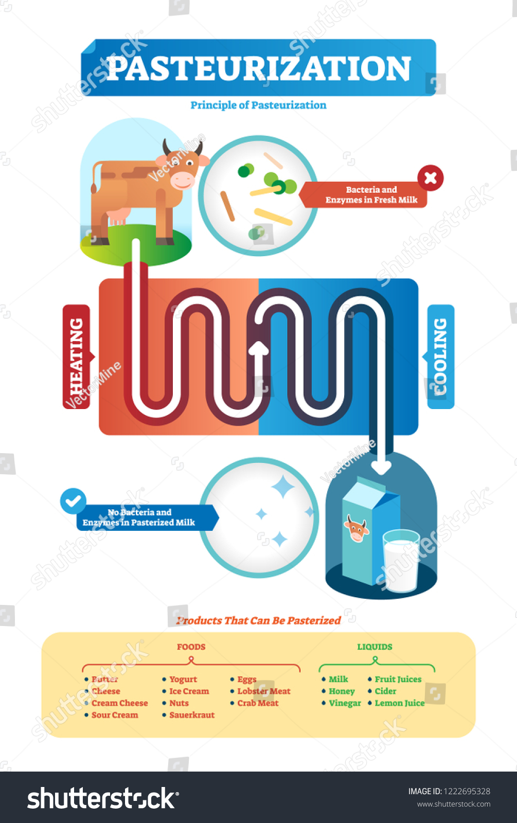 Illustration vectorielle de la pasteurisation. Schéma : image vectorielle de stock (libre de ...