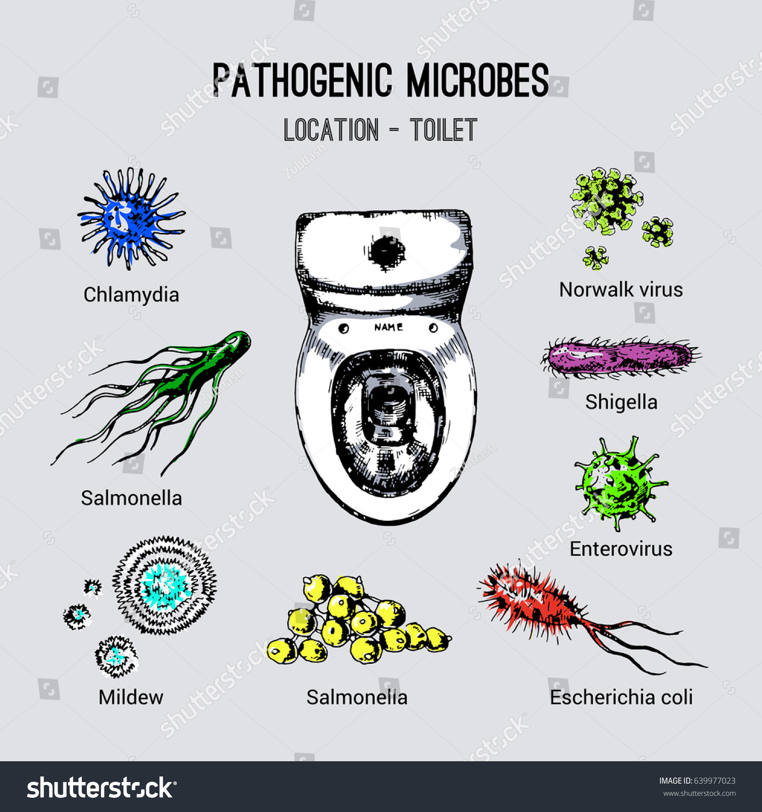 Vektor Stok Pathogenic Microbes Their Habitats Types Microorganisms ... Vektor Stok Pathogenic Microbes Their Habitats Types Microorganisms ...