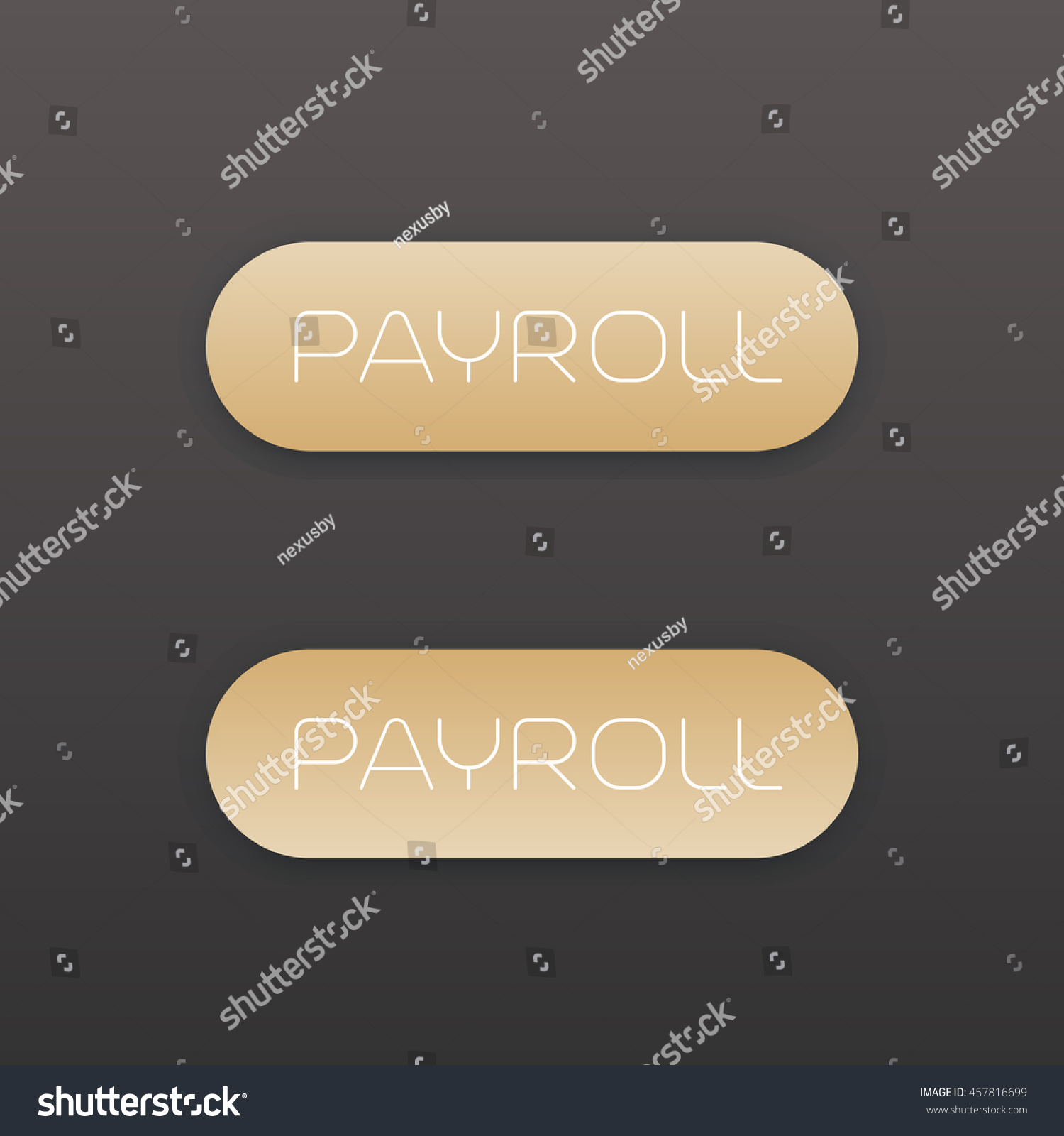 Payroll Button Web Gold On Dark Stock Vector (Royalty Free) 457816699 ...