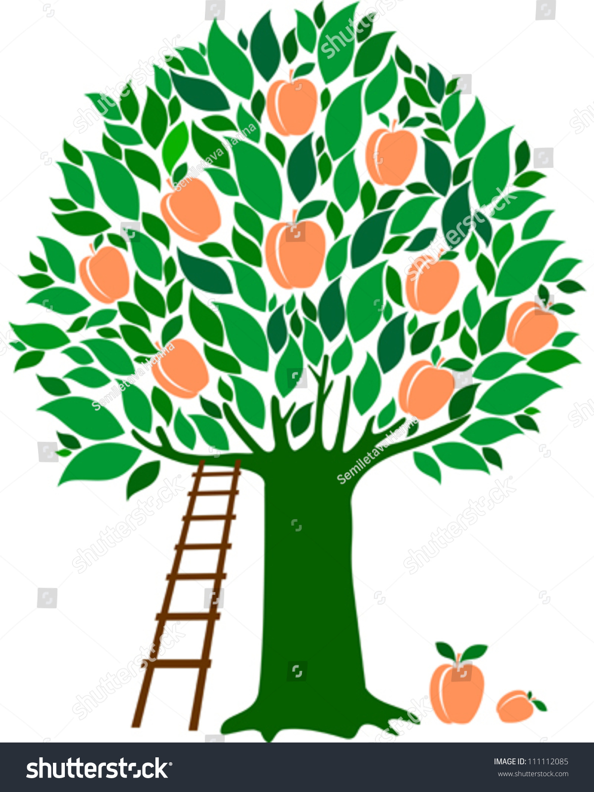 Peach Tree Isolated On White Background Stock Vector 111112085 ...