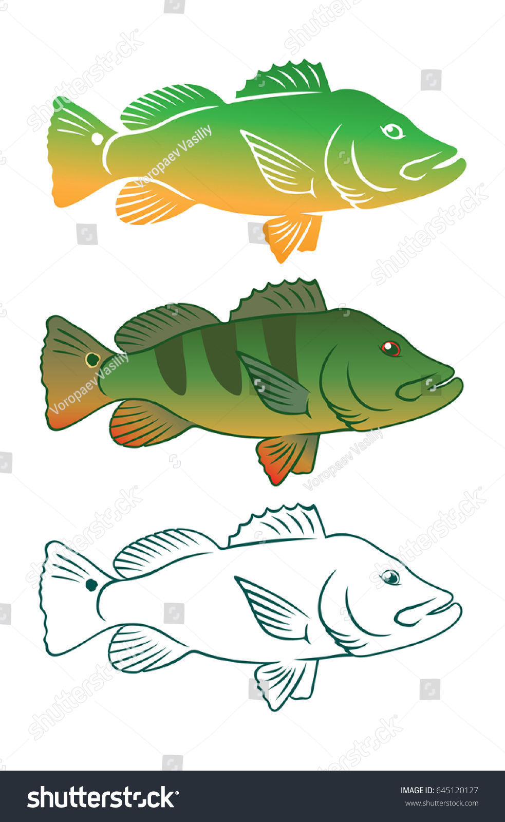 Peacock Bass Stock Vector (Royalty Free) 645120127 | Shutterstock