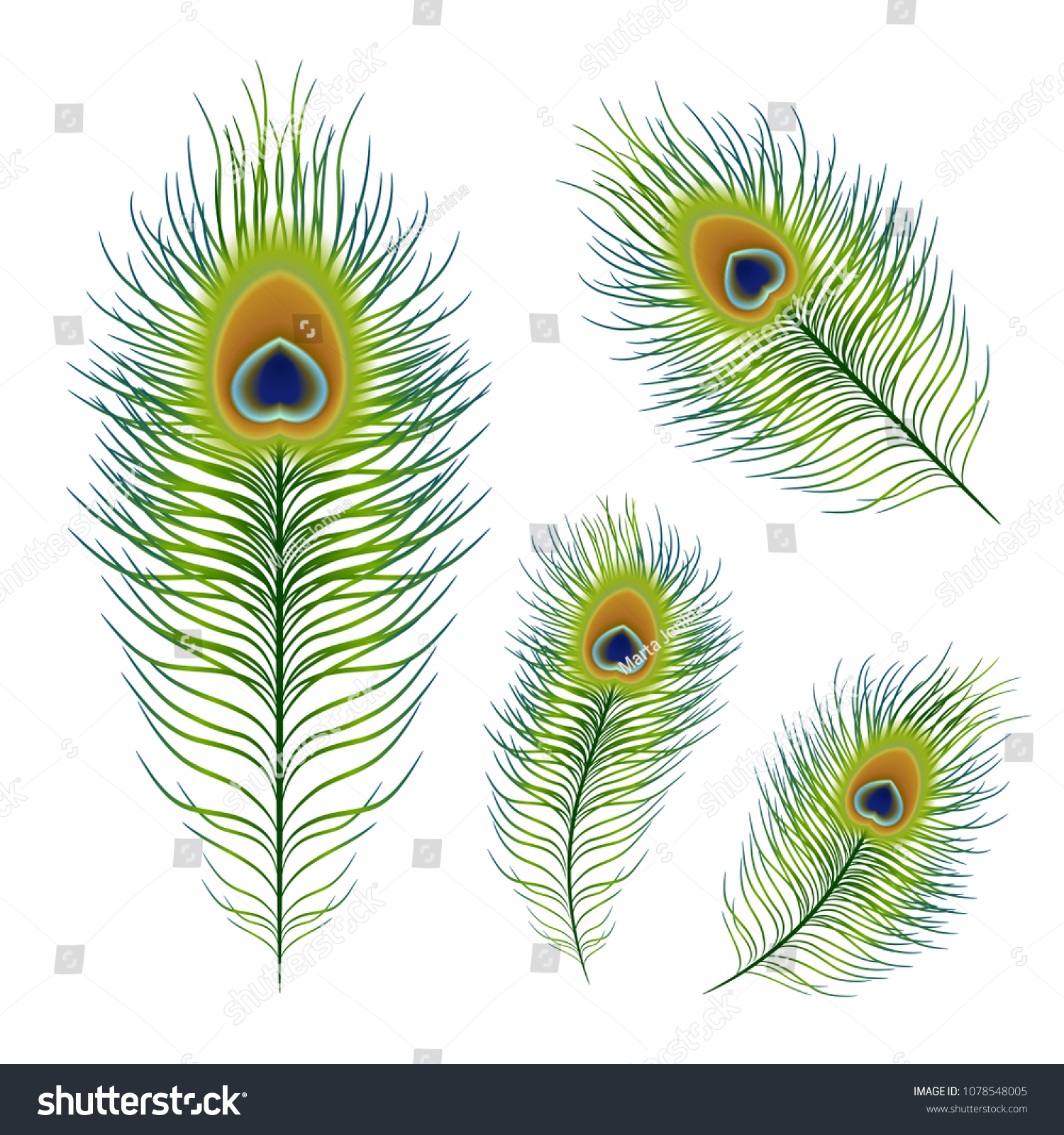 Peacock Feather Set Different Shapes Stock Vector (Royalty Free) 1078548005