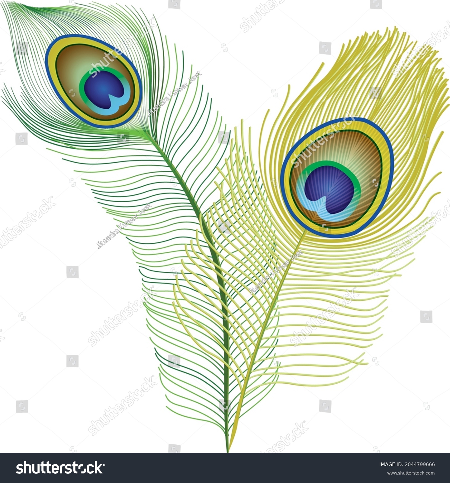 Peacock Feather Vector Design Art Stock Vector (Royalty Free) 2044799666