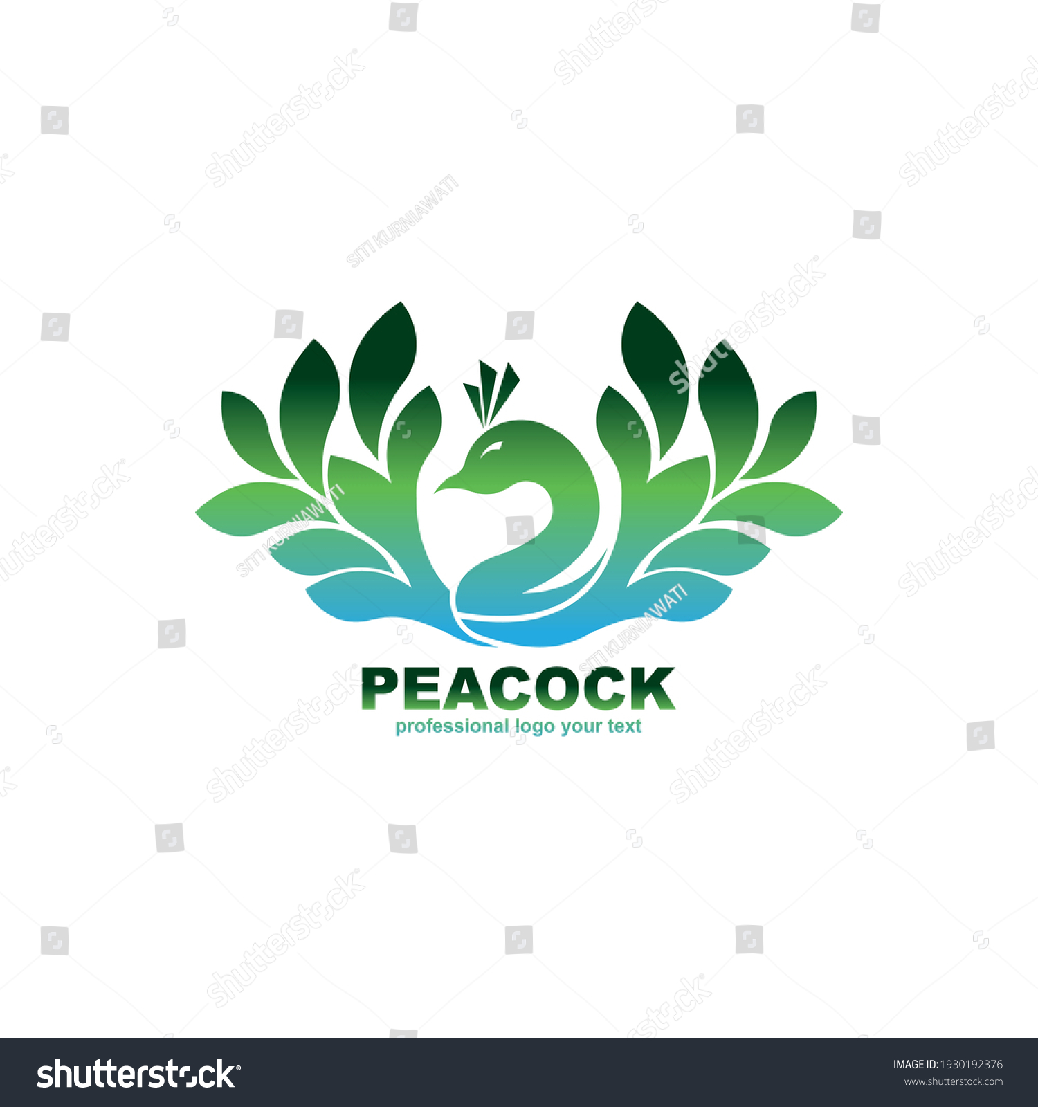 Peacock Logo Design Template Vector Illustration Stock Vector (Royalty ...