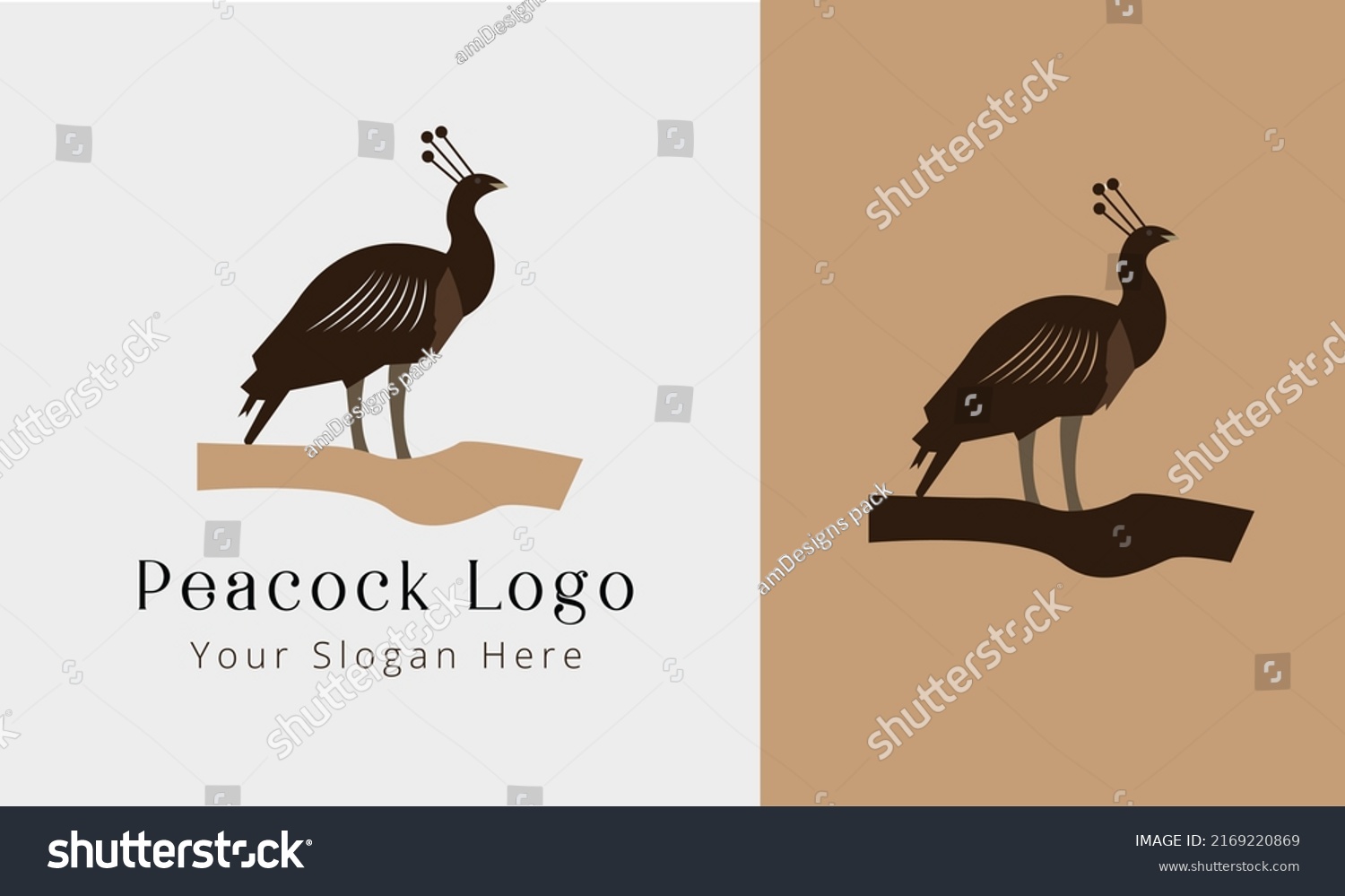 Peacock Logo Design Vector Template Stock Vector Royalty Free 2169220869 Shutterstock