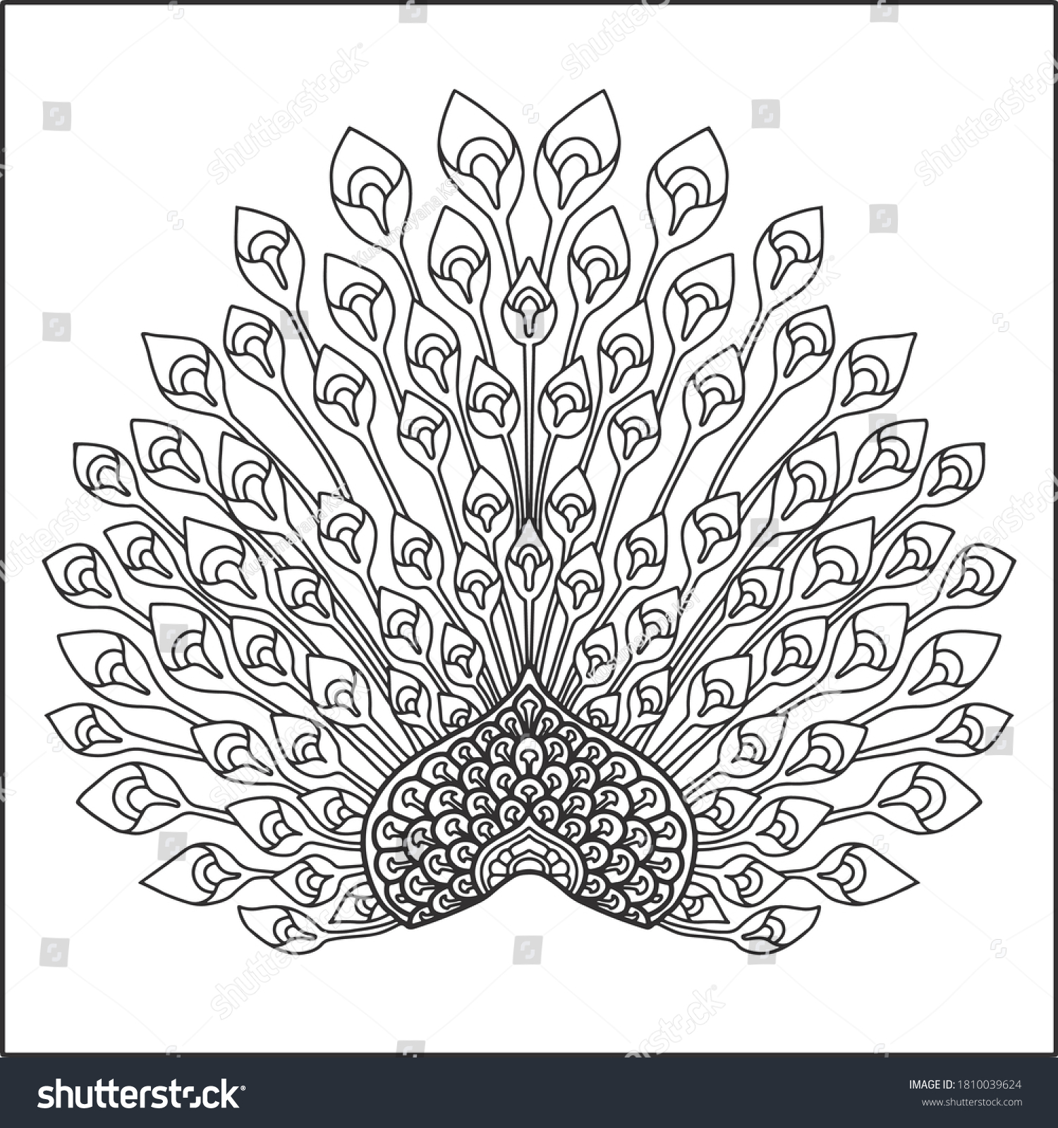Peacock Mandala Design Coloring Page Tshirt Stock Vector Royalty Free