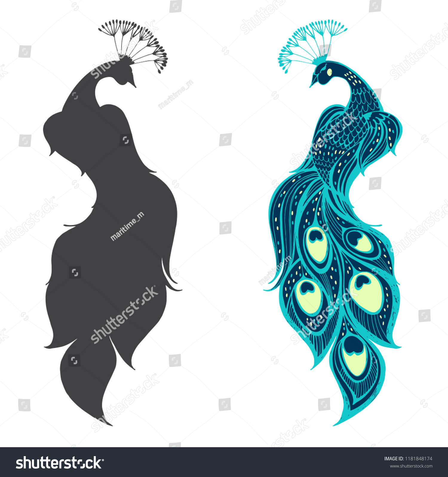 Peacocks Vector Illustration Two Variants Isolated Stock Vector ...