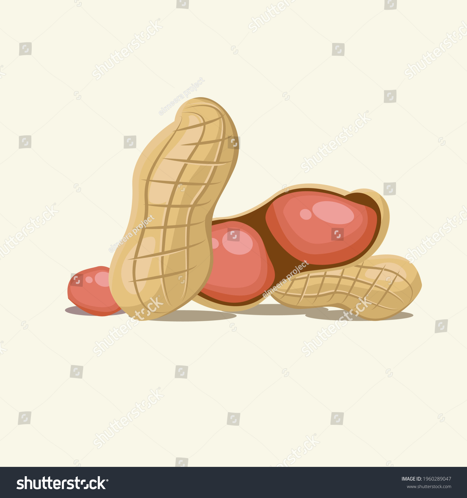 Peanut Vector Graphics Illustration Peanuts Stock Vector (Royalty Free ...