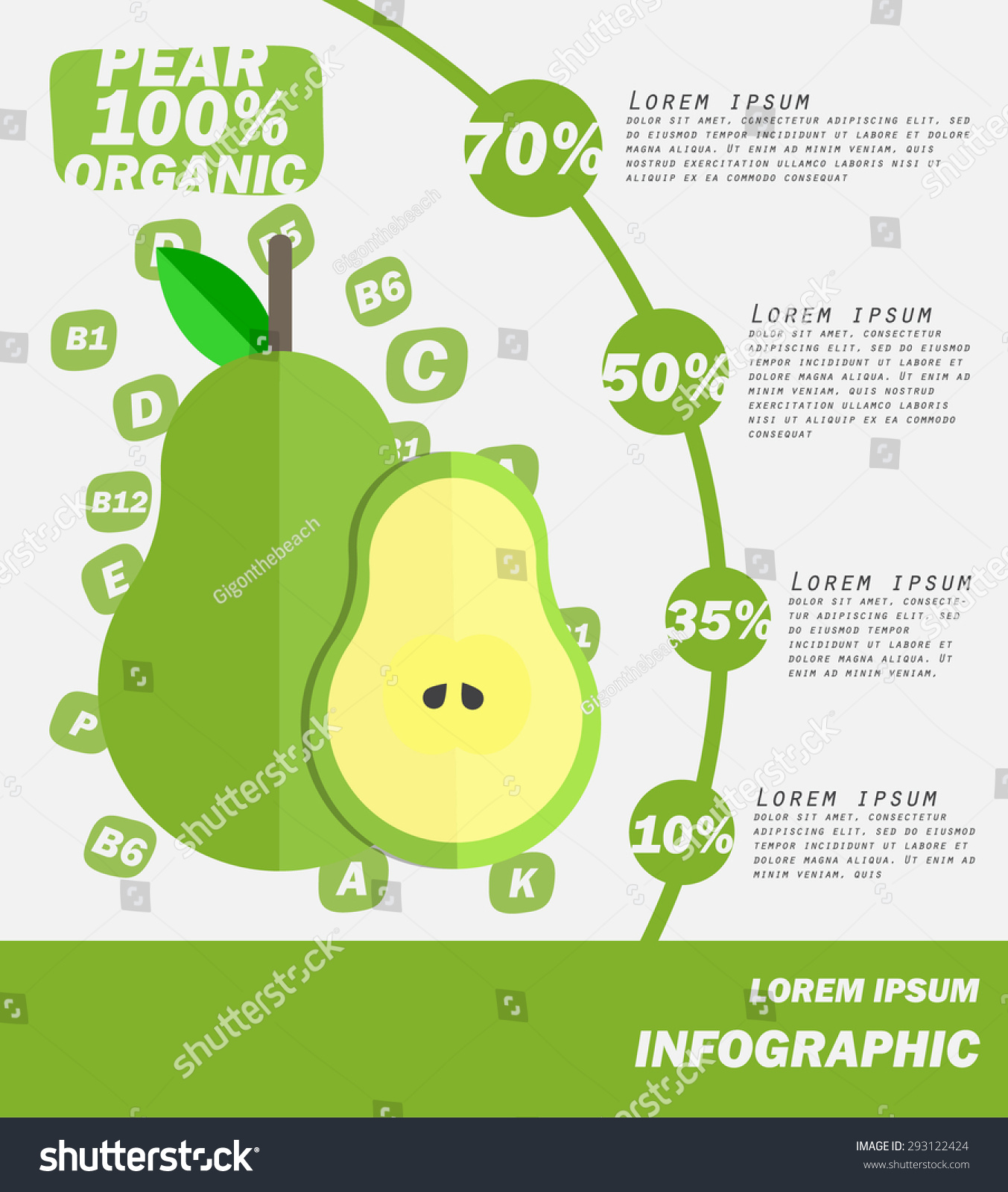 Pear Infographics Fruit Vector Illustration Stock Vector (Royalty Free ...