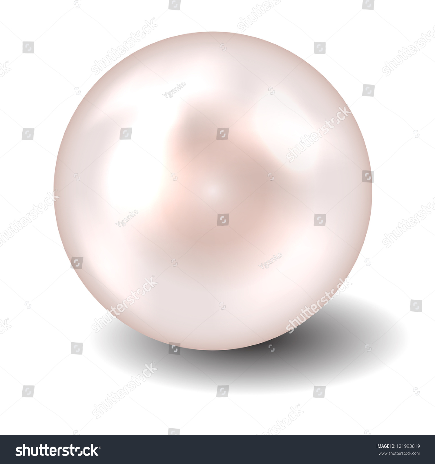 Pearl Vector Illustration Stock Vector (Royalty Free) 121993819 ...