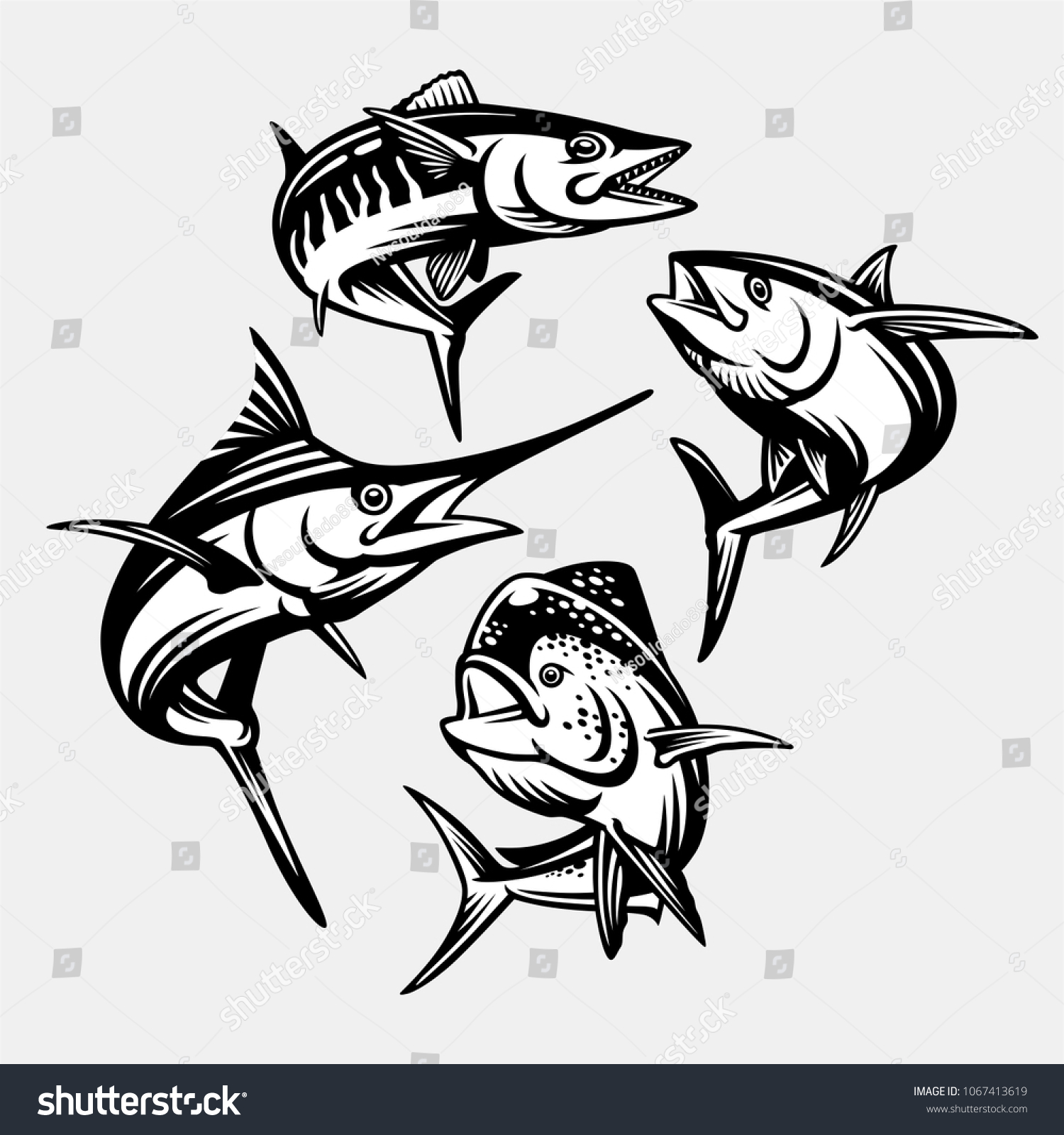 325 Pelagic fish Stock Vectors, Images & Vector Art | Shutterstock