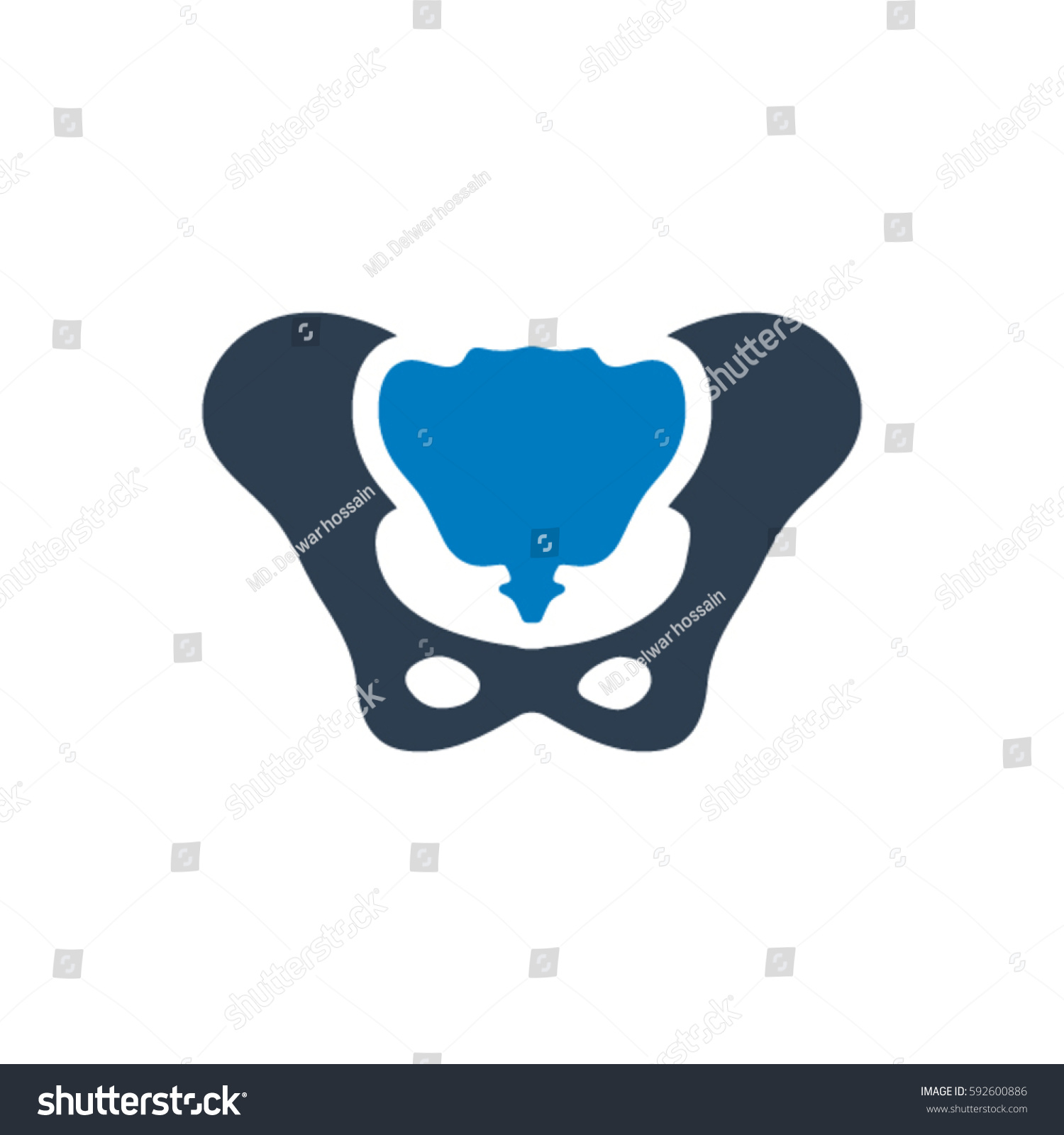 Pelvis Icon Stock Vector (Royalty Free) 592600886