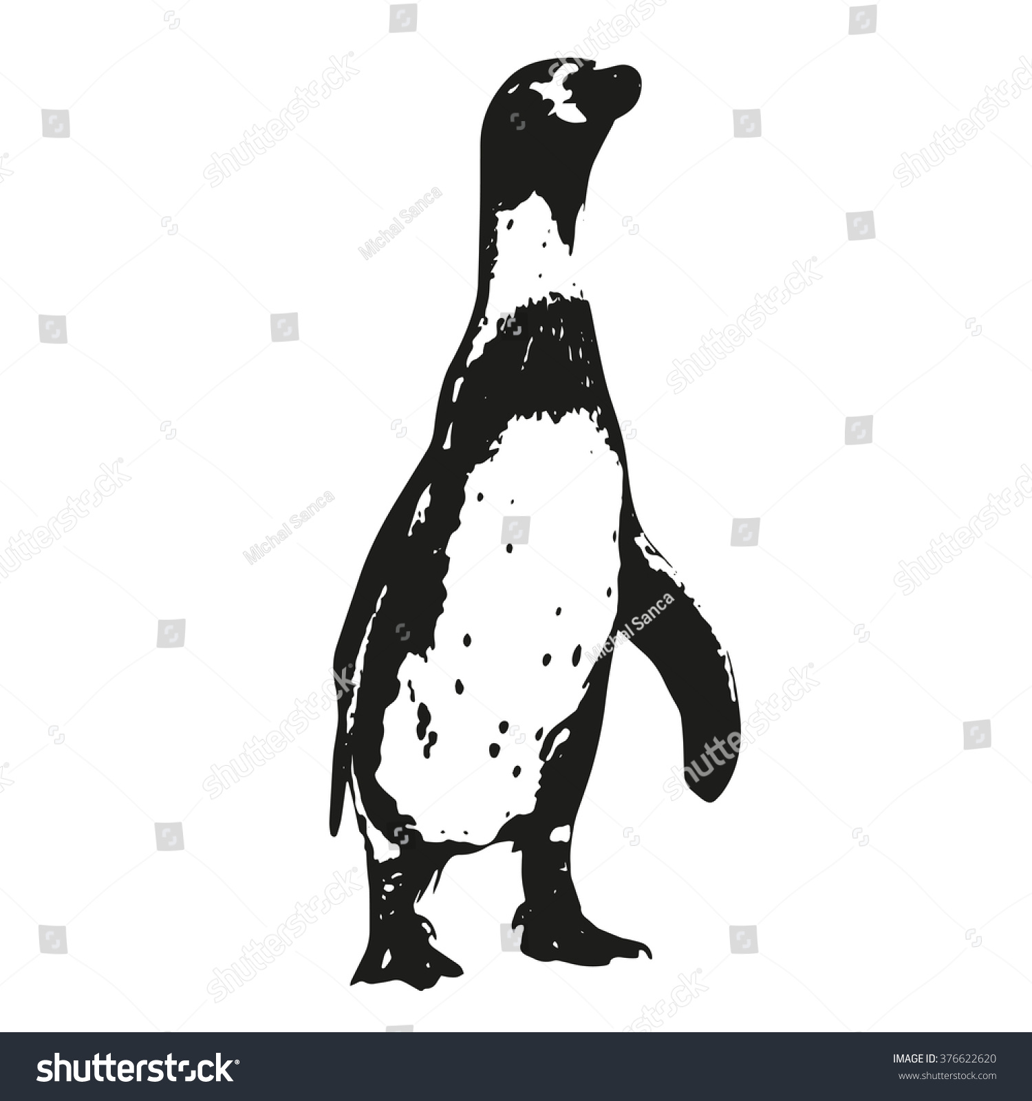 Penguin Vector Drawing Isolated Illustration Stock Vector (Royalty Free ...