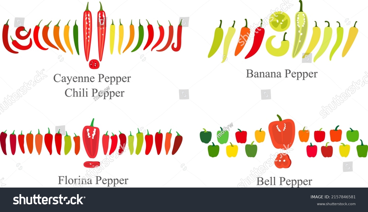 Pepper Flat Icon Set Vector Illustration Stock Vector (Royalty Free ...