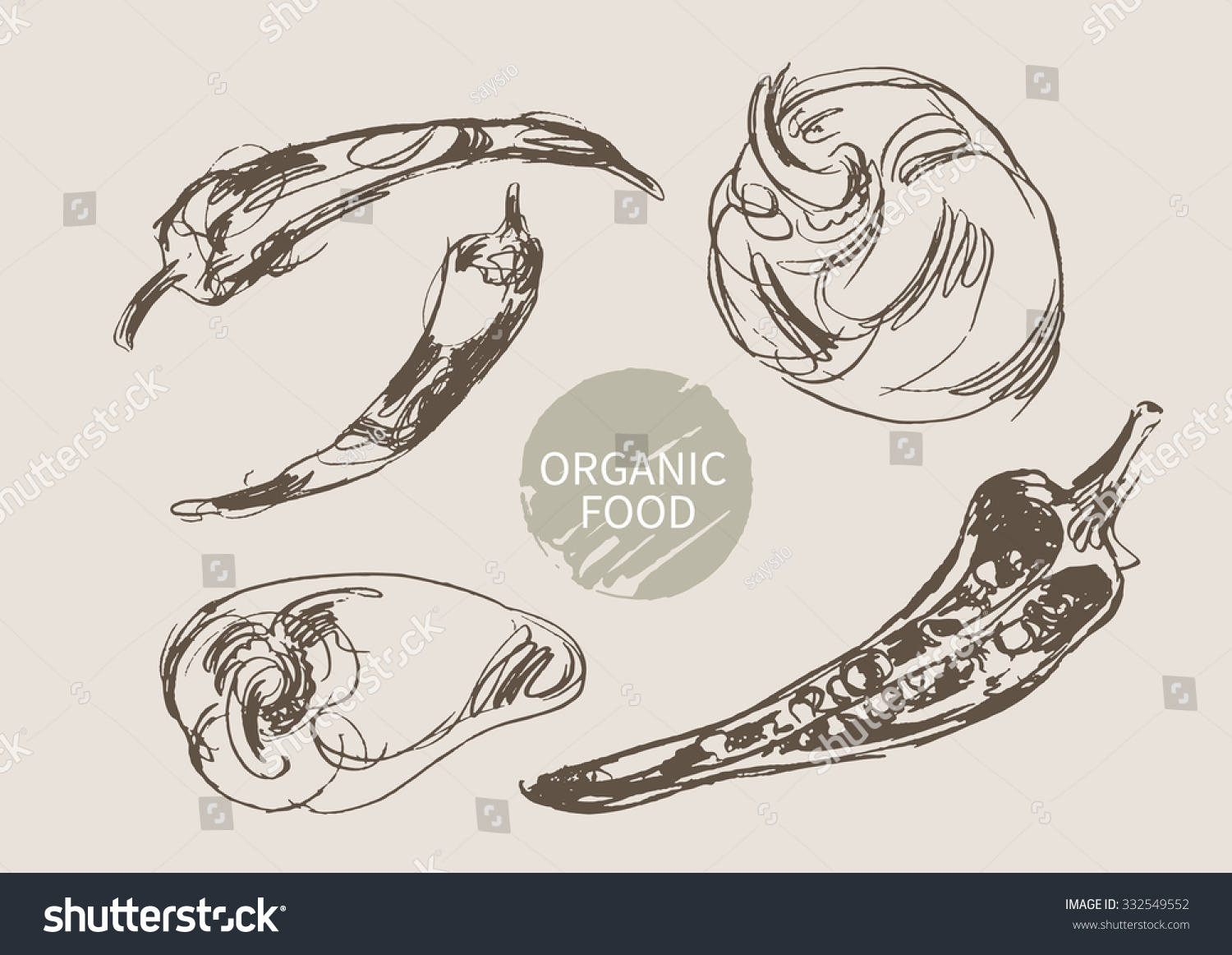 Pepper Hand Draw Sketch Vector Stock Vector (Royalty Free) 332549552