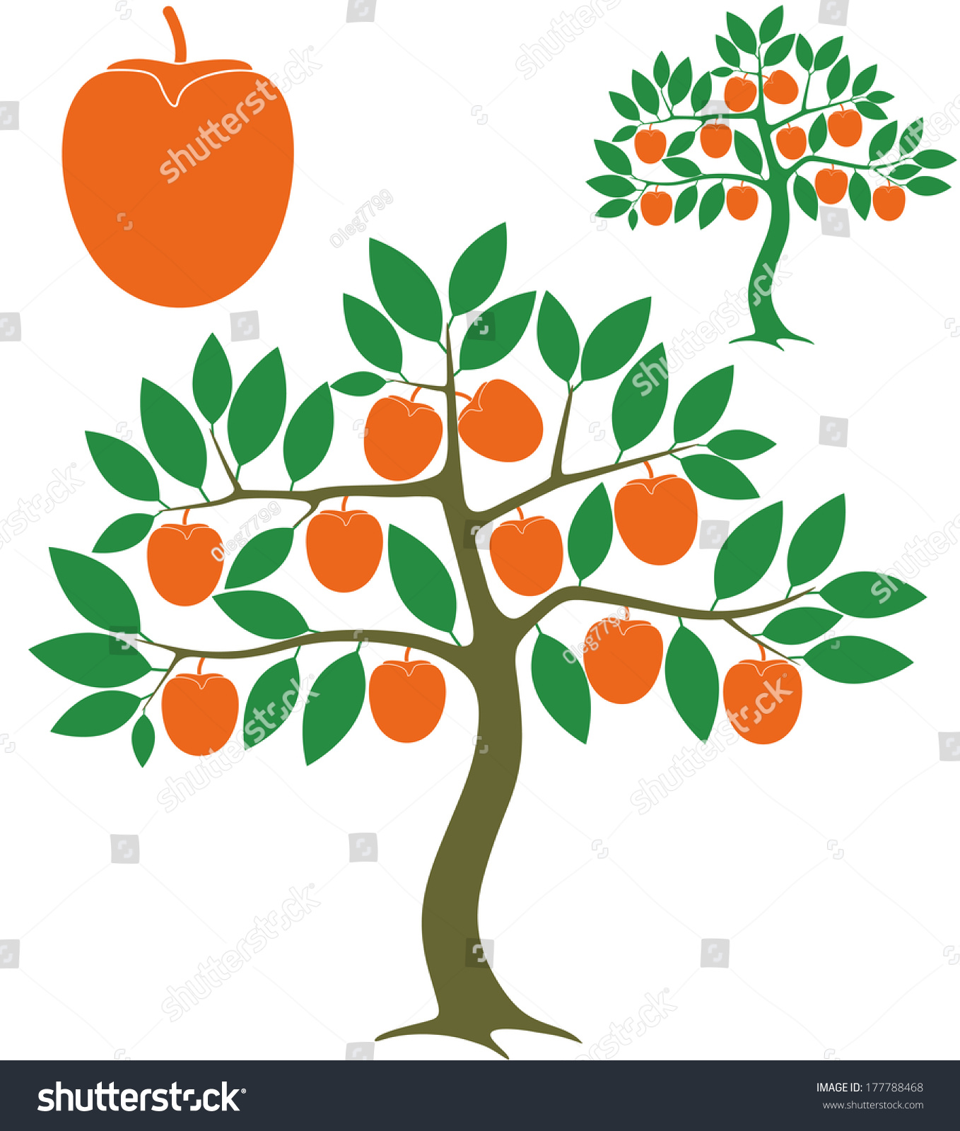 Persimmon Tree Isolated Persimmon On White: เวกเตอร์สต็อก (ปลอดค่า ...