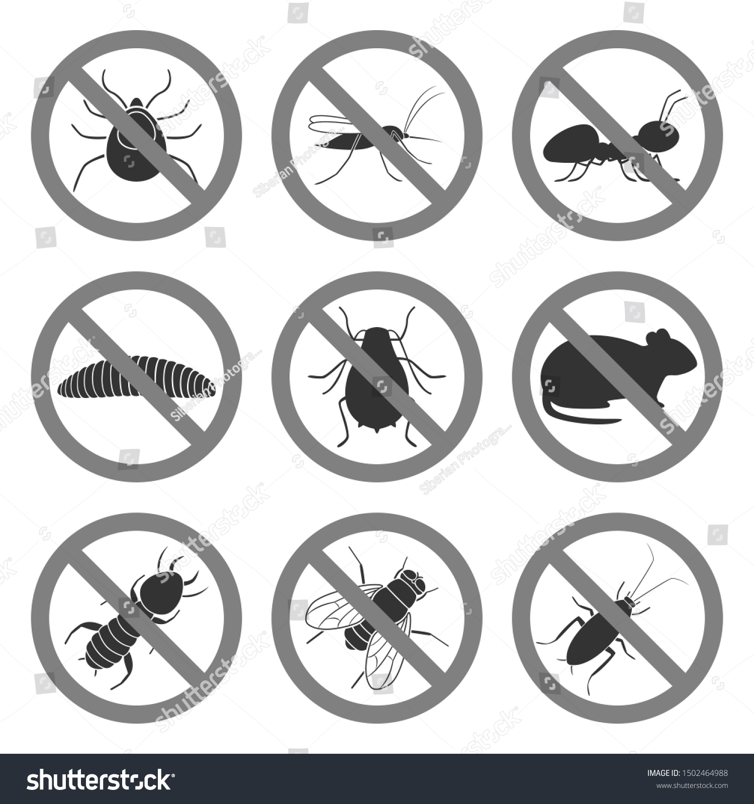 Símbolos de control de plagas. Conjunto: vector de stock (libre de ...