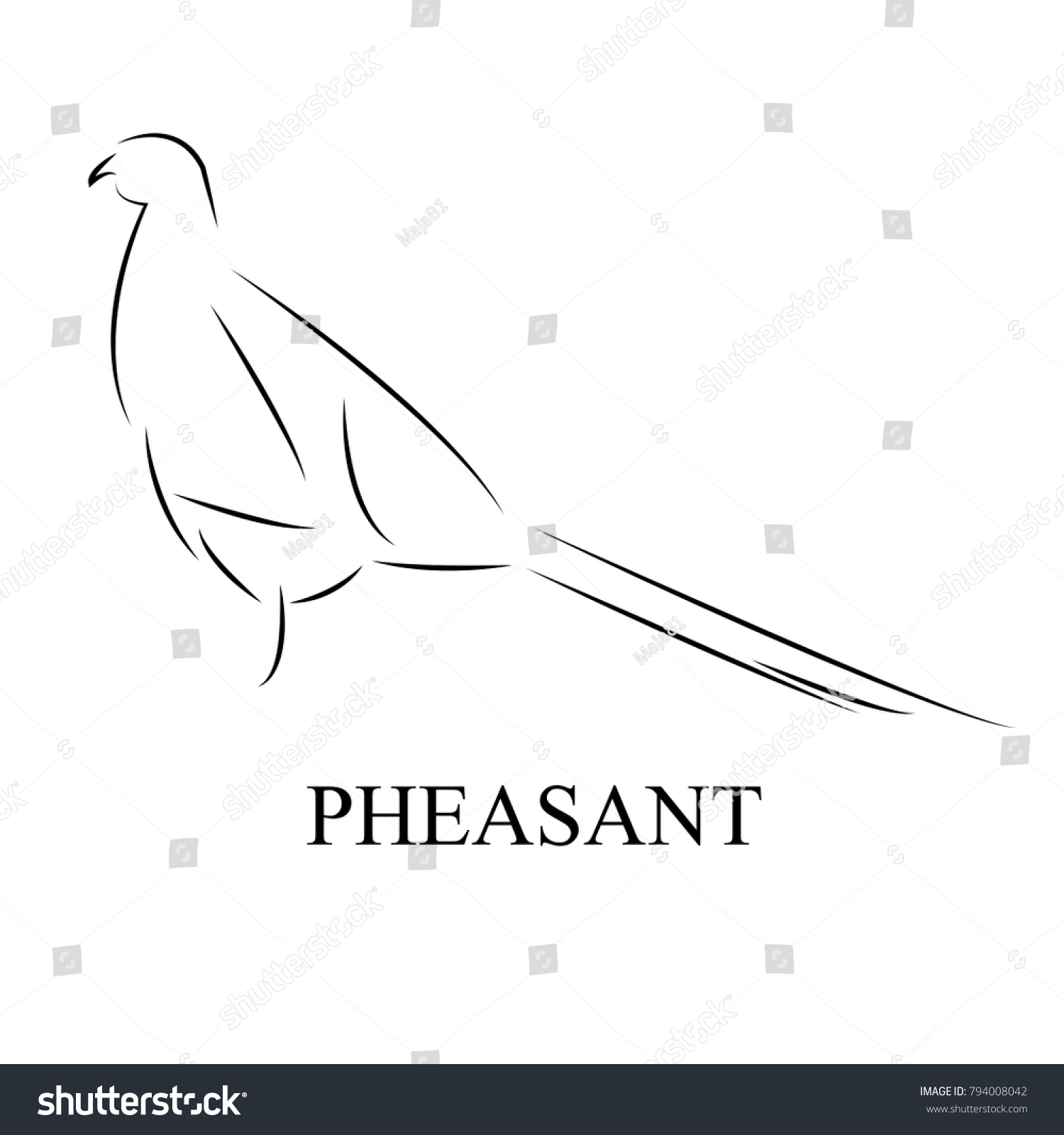 Pheasant Icon Vector Illustration Stock Vector (Royalty Free) 794008042 ...