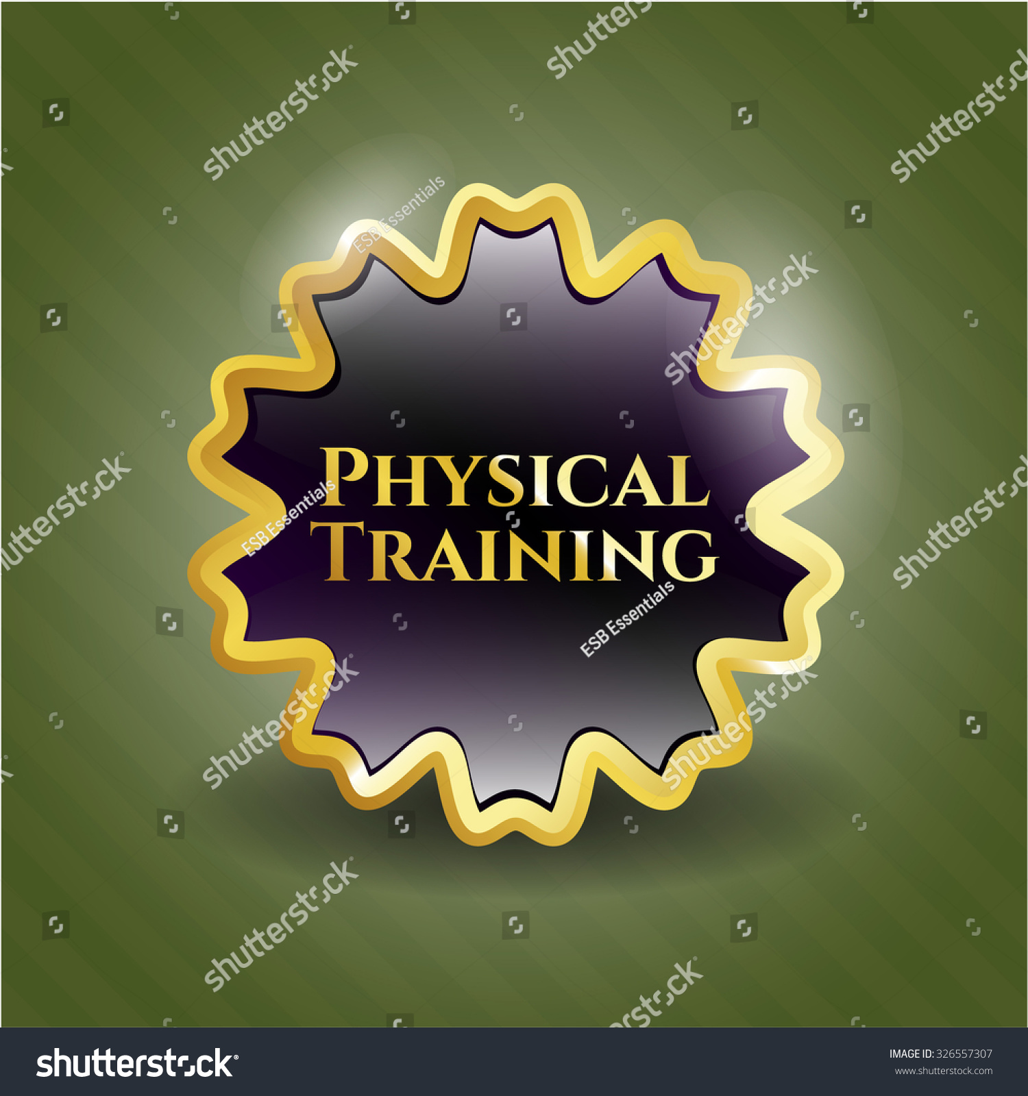 Physical Training Shiny Badge Stock Vector (Royalty Free) 326557307