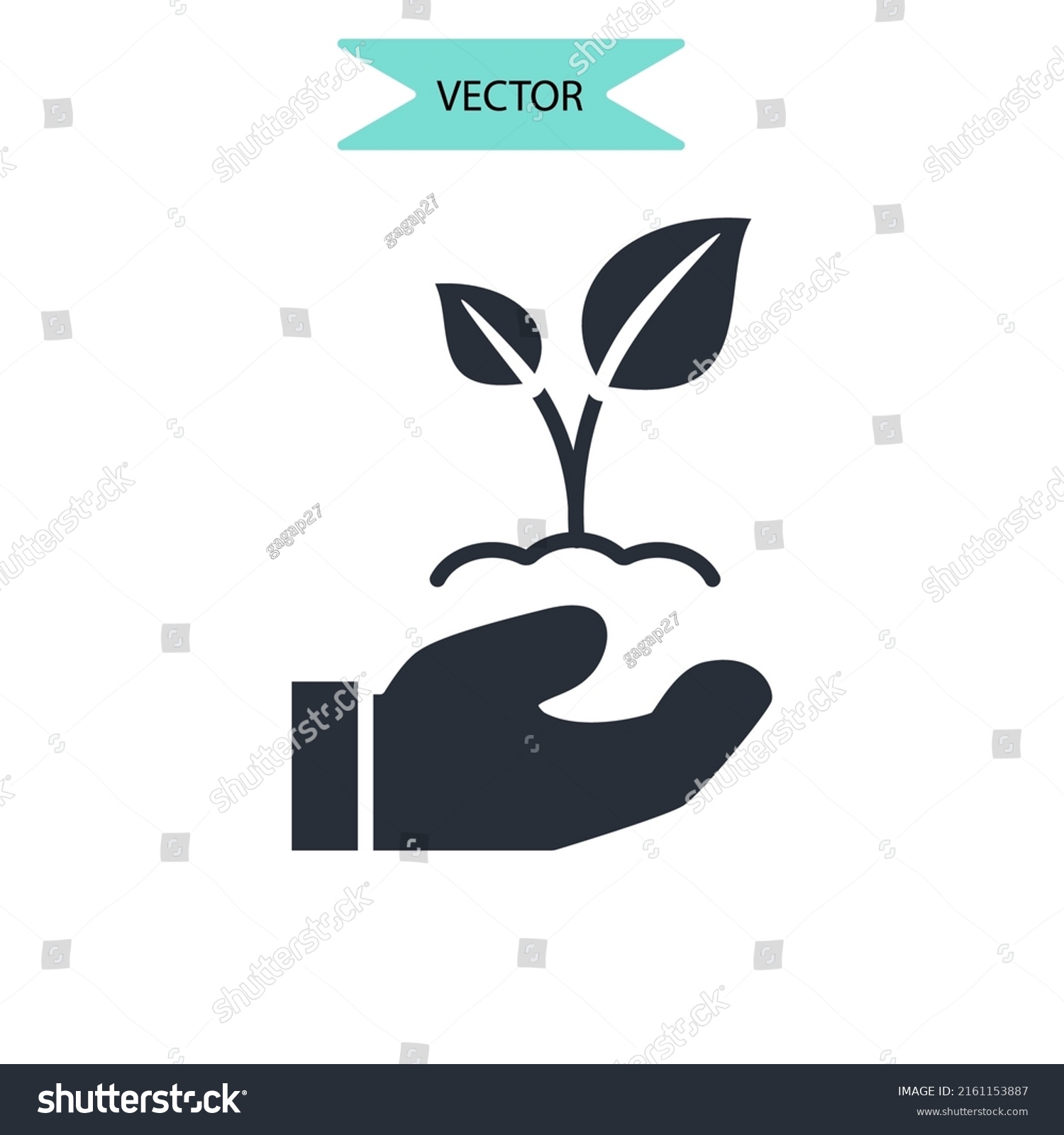 Phytotherapy Icons Symbol Vector Elements Infographic Stock Vector ...