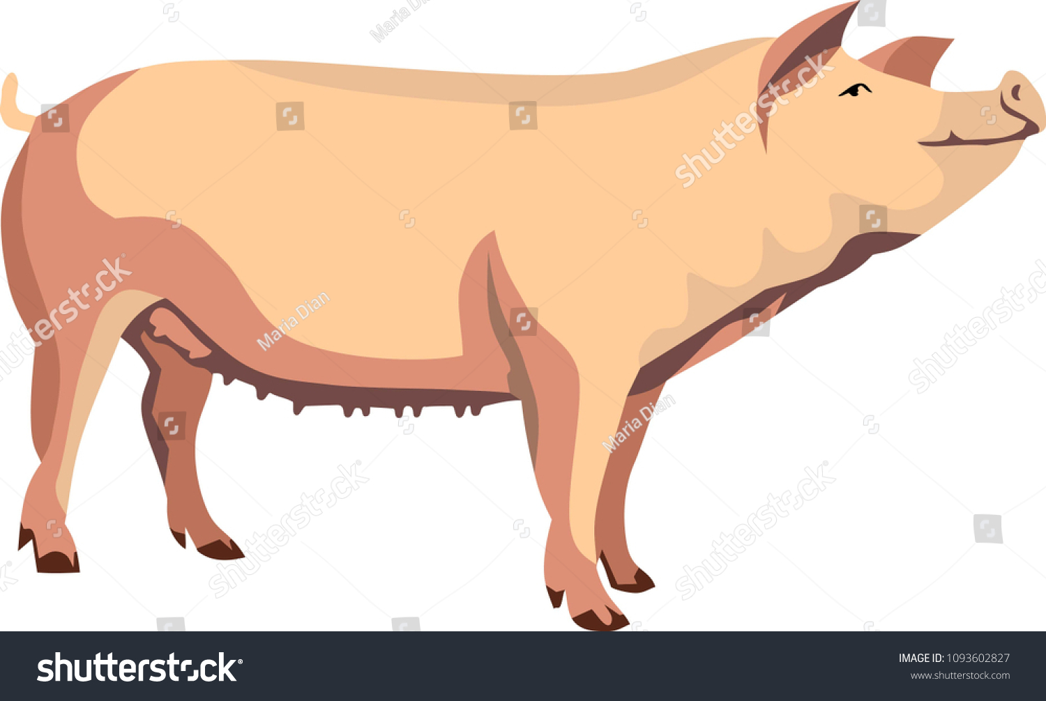 Pig Vector Shio Stock Vector (Royalty Free) 1093602827 | Shutterstock