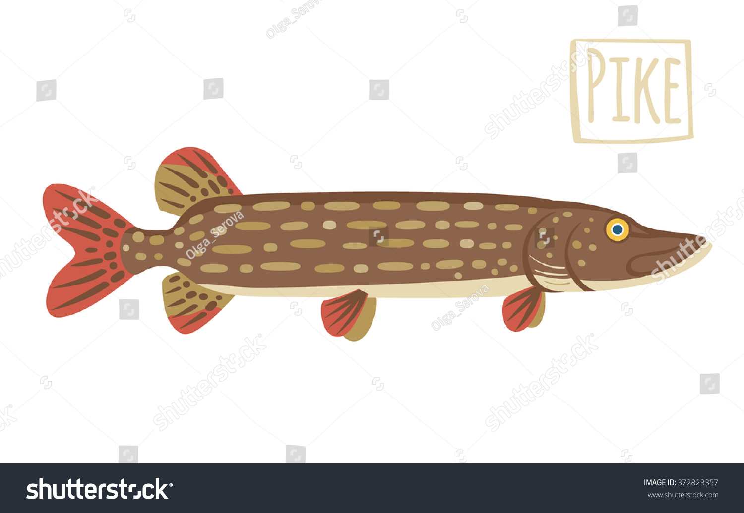 Pike Vector Cartoon Illustration: Vector có sẵn (miễn phí bản quyền ...