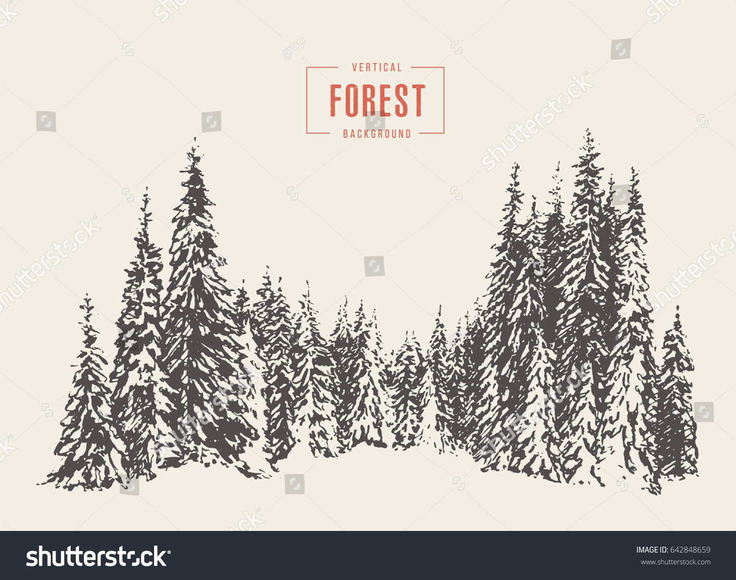 Pine Forest Vector Illustration Hand Drawn: vector de stock (libre de ...