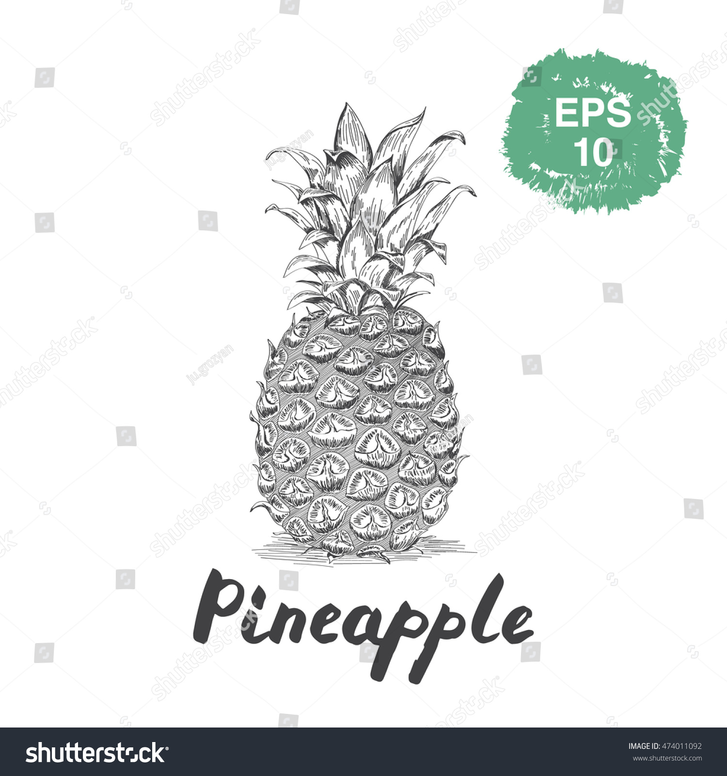 Pineapple Ink Sketch Drawing: vector de stock (libre de regalías ...