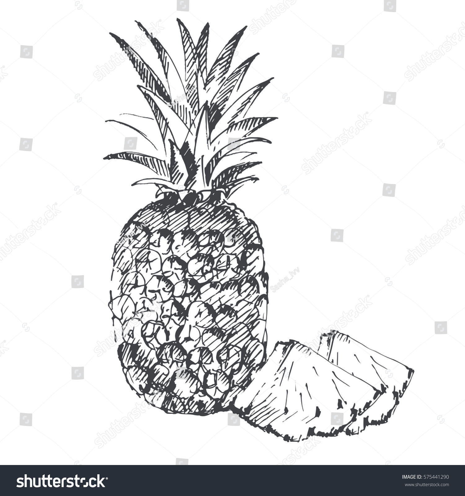 Pineapple Sketch On White Background Vector Stock Vector (Royalty Free ...