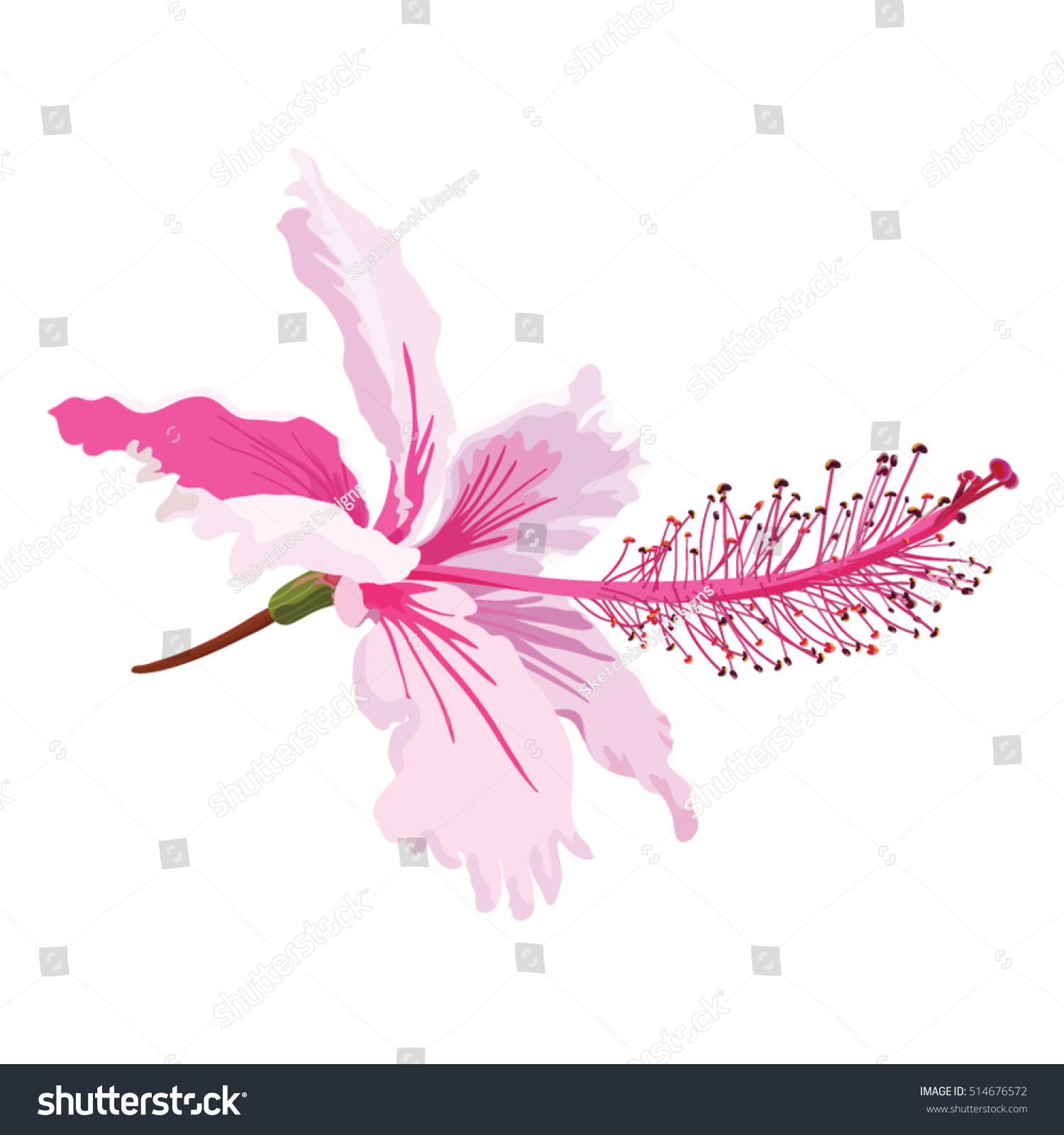 Pink Hibiscus Vector Illustration Stock Vector (Royalty Free) 514676572