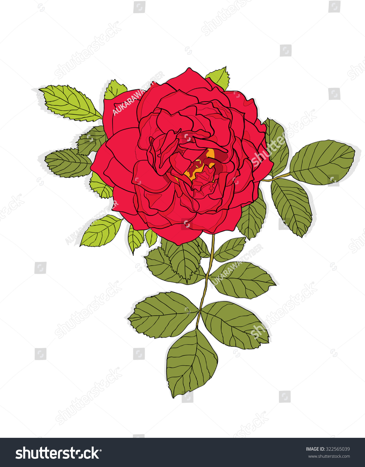 Pink Rose Drawing Vector Stock Vector (Royalty Free) 322565039