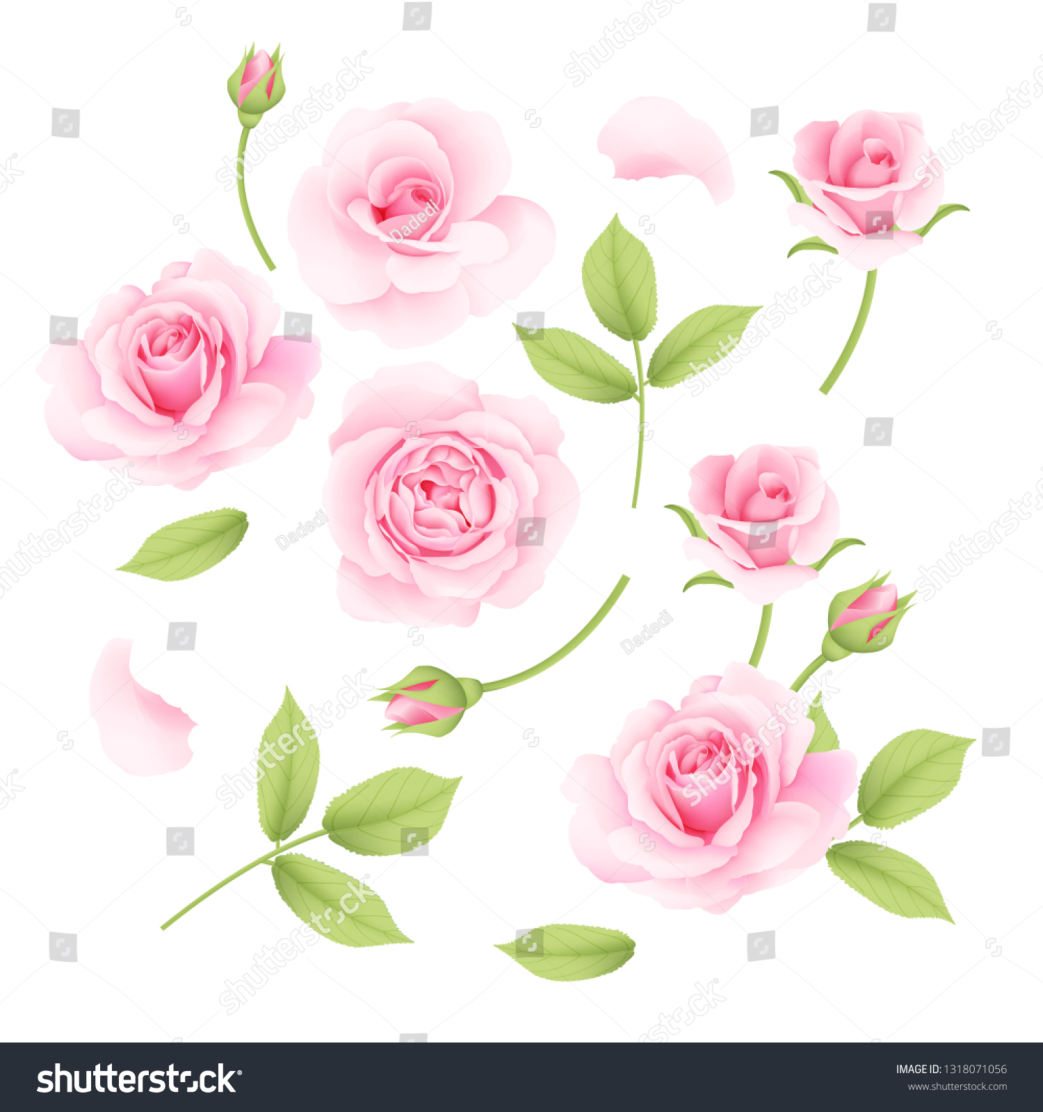 Pink Roses Vector Collection Stock Vector (Royalty Free) 1318071056